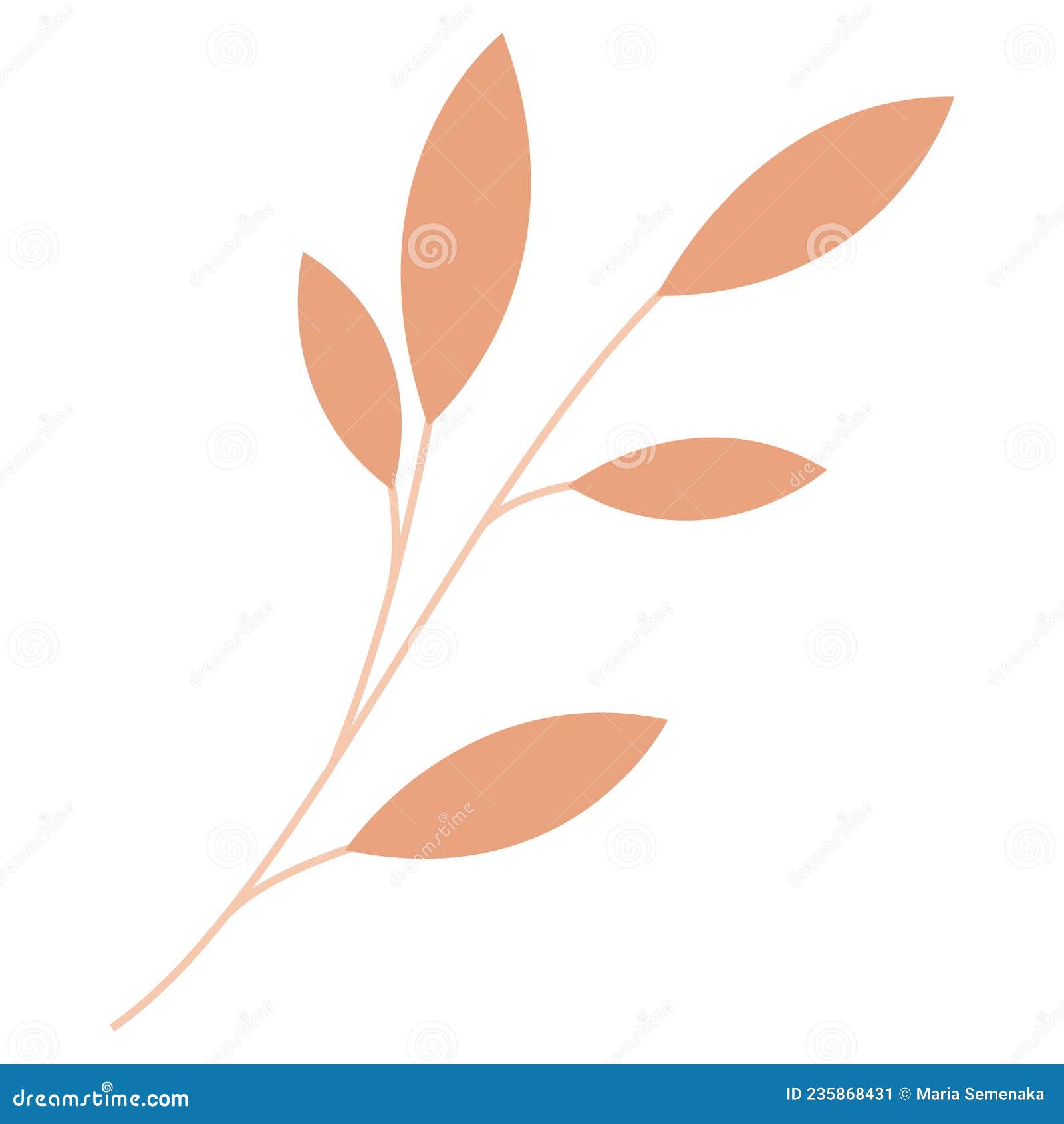 Vector Drawing of Twigs with Leaves Isolated on White Background ...