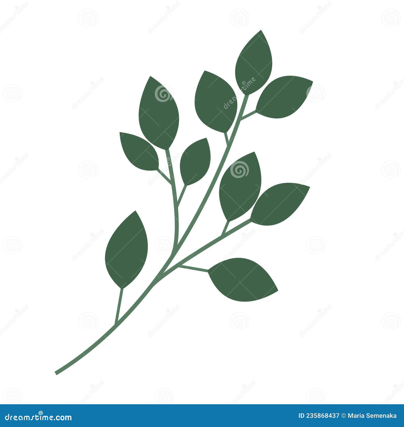 Vector Drawing of Twigs with Leaves Isolated on White Background ...