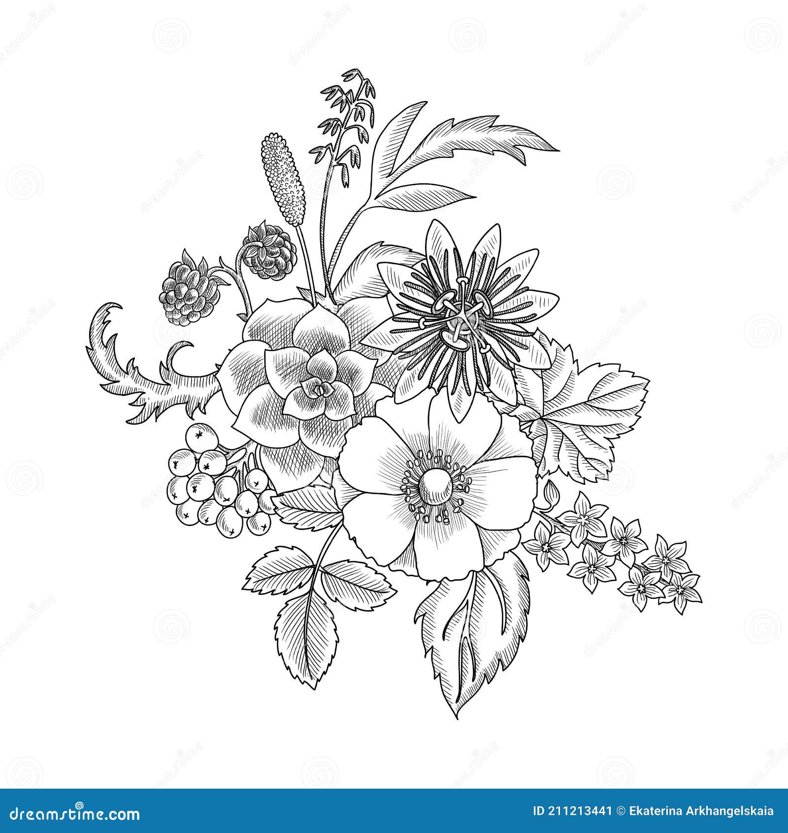 Vector Drawing Vintage Composition with Flowers Stock Vector ...