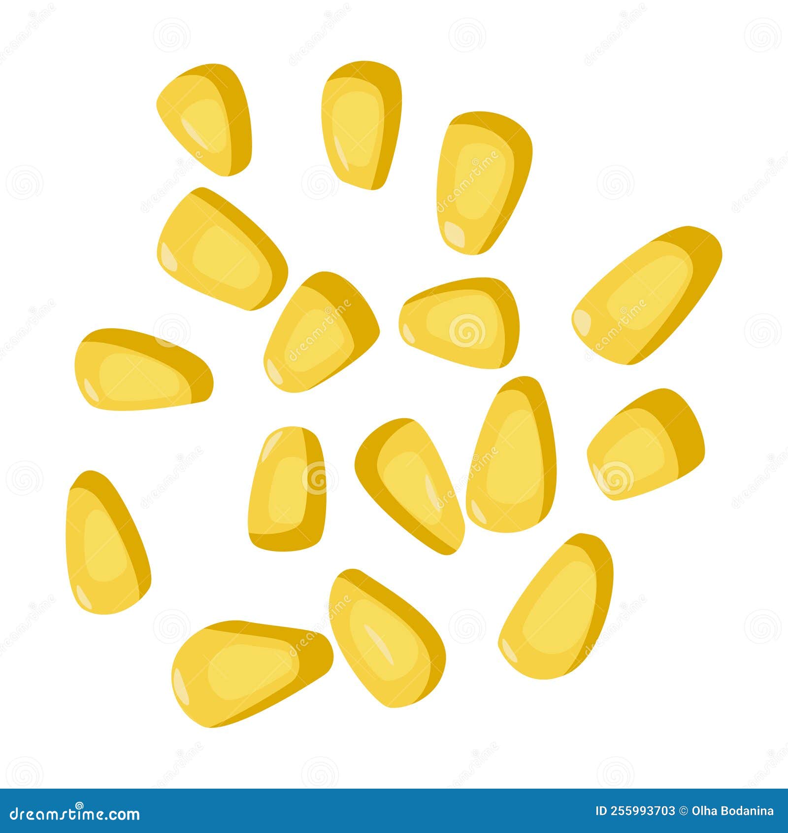 Vector Drawing of Yellow Corn Kernels. Design Element and Food and ...