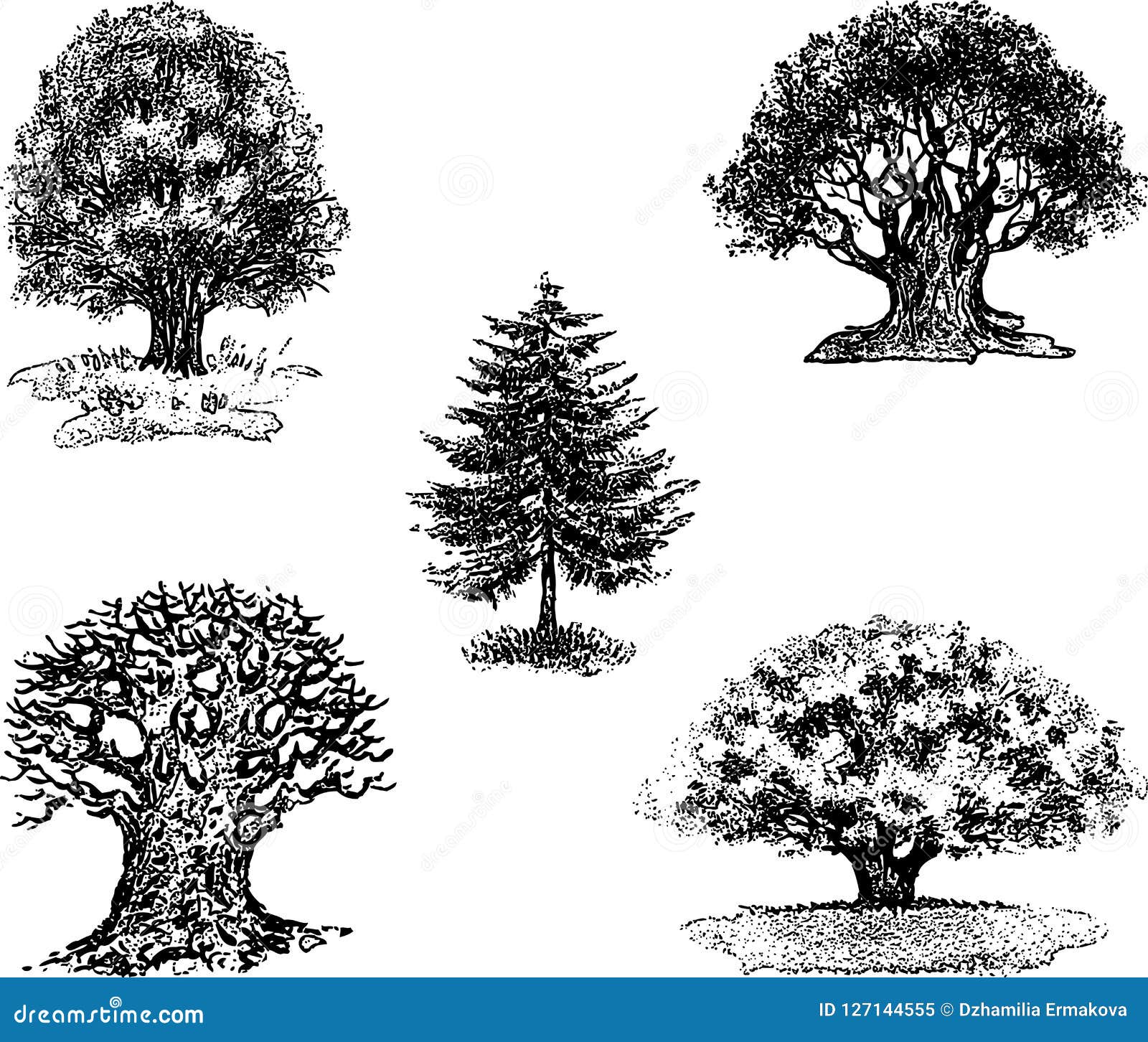 Vector Drawings of Different Trees Stock Vector - Illustration of ...