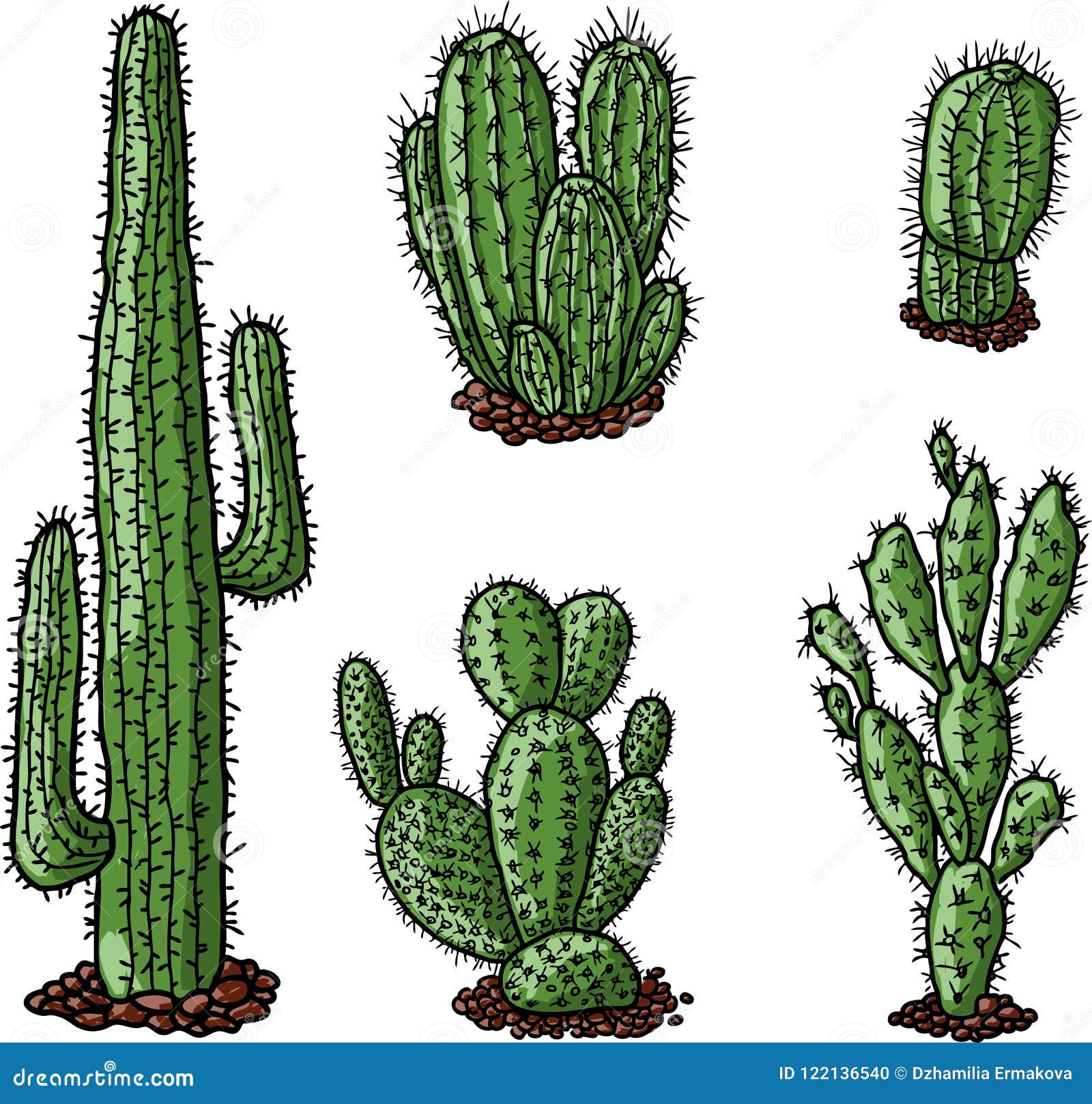 A Set of the Various Drawn Cactuses Stock Vector - Illustration of hand ...