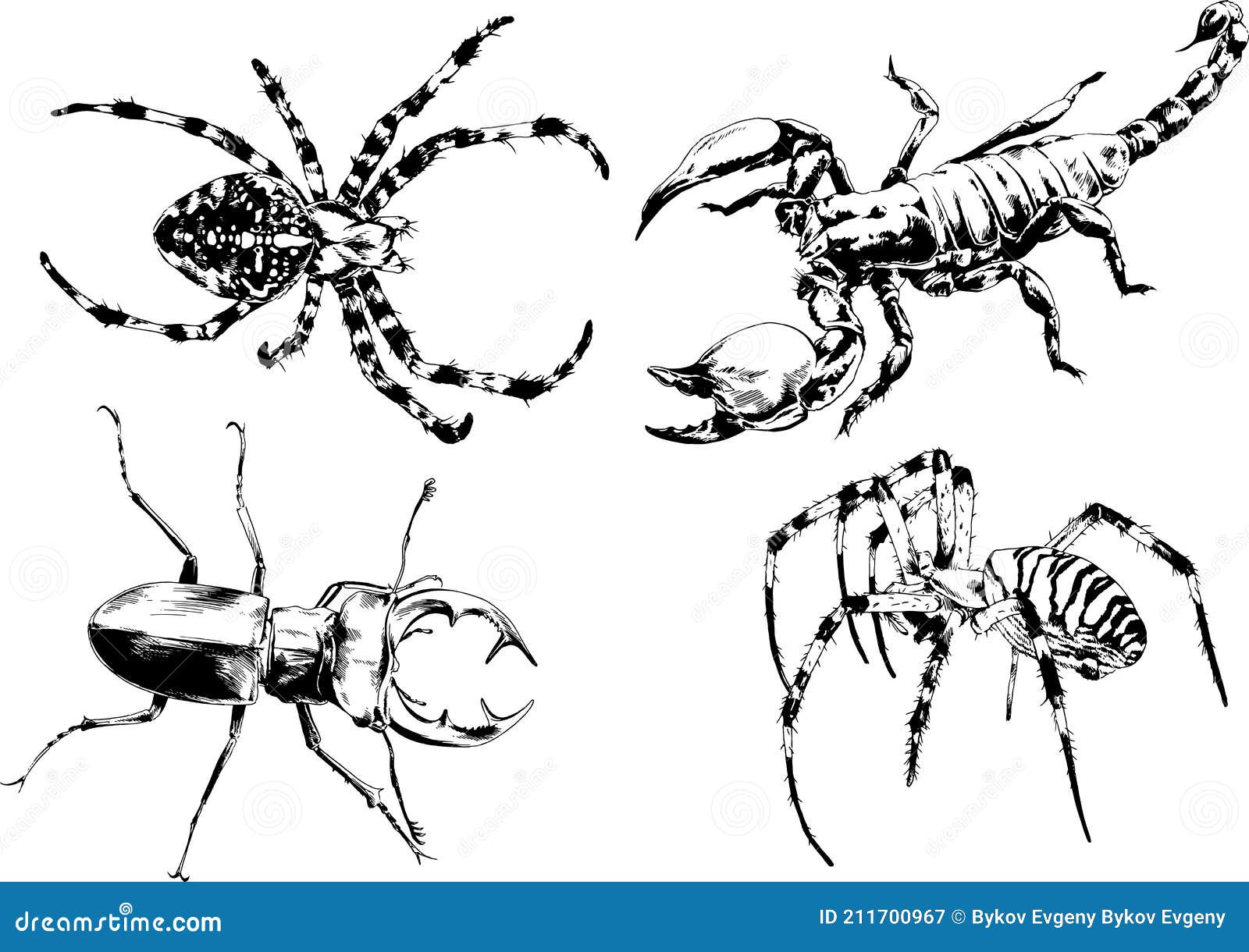 Vector Drawings Sketches Different Insects Bugs Scorpions Spiders Drawn ...
