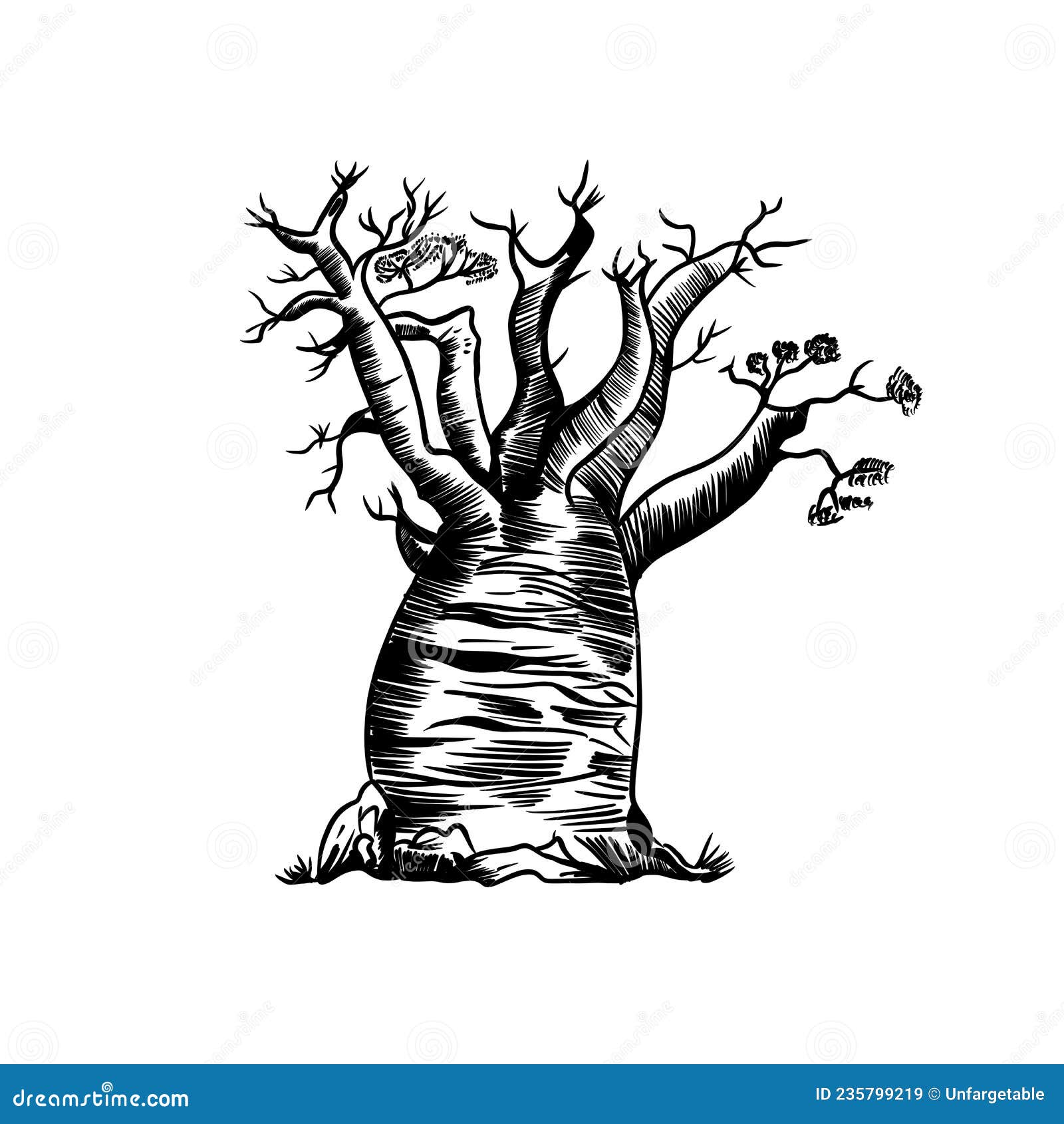 Vector Drawn Sketch of Baobab Tree, Doodle Style with Black Lines Stock ...