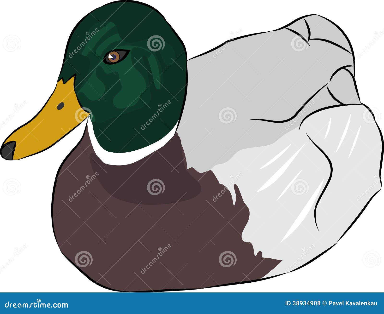 Vector duck stock vector. Illustration of hunting, brown - 38934908
