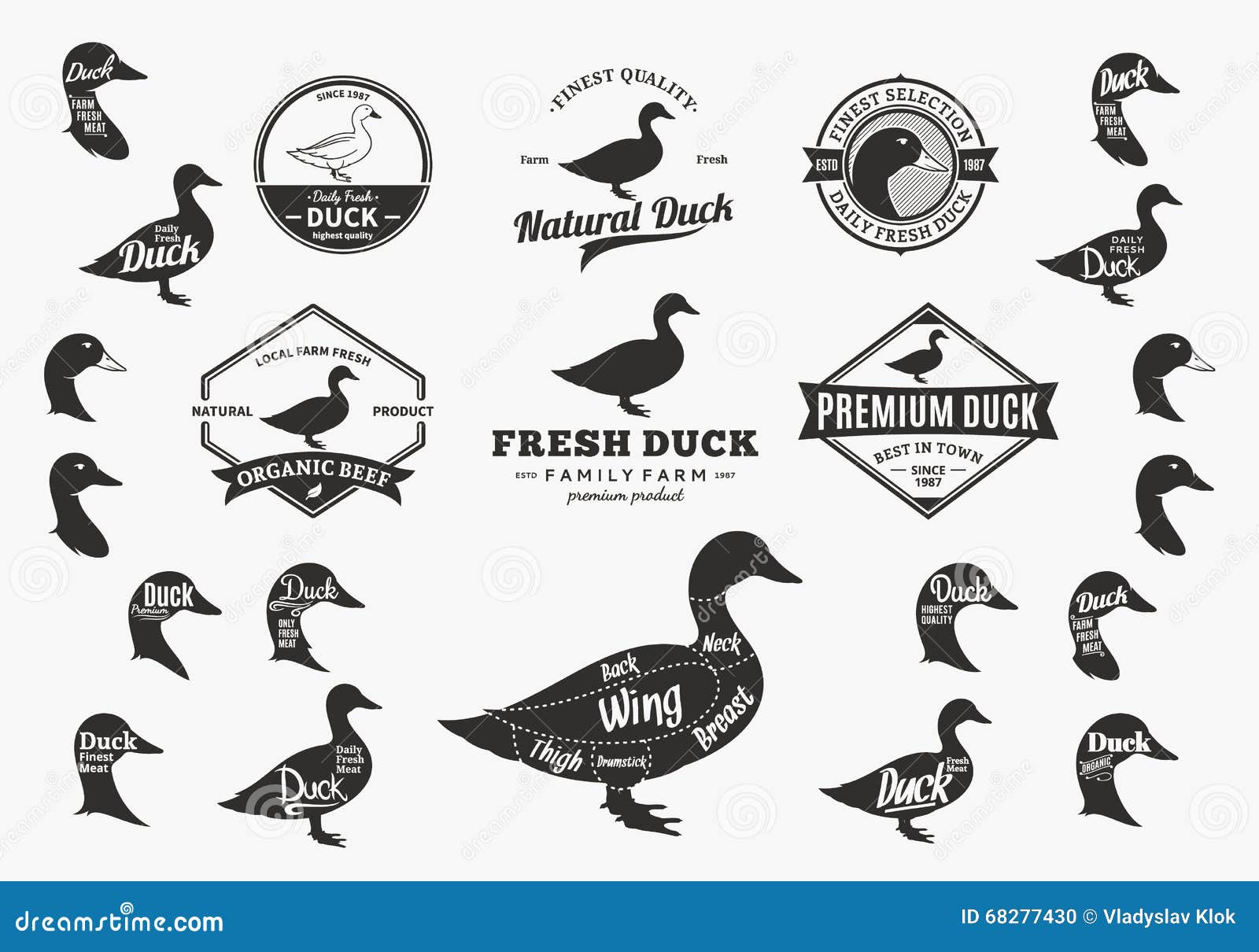 Vector Duck Logo, Iconos, Cartas Y Elementos Del Diseño Ilustración del ...