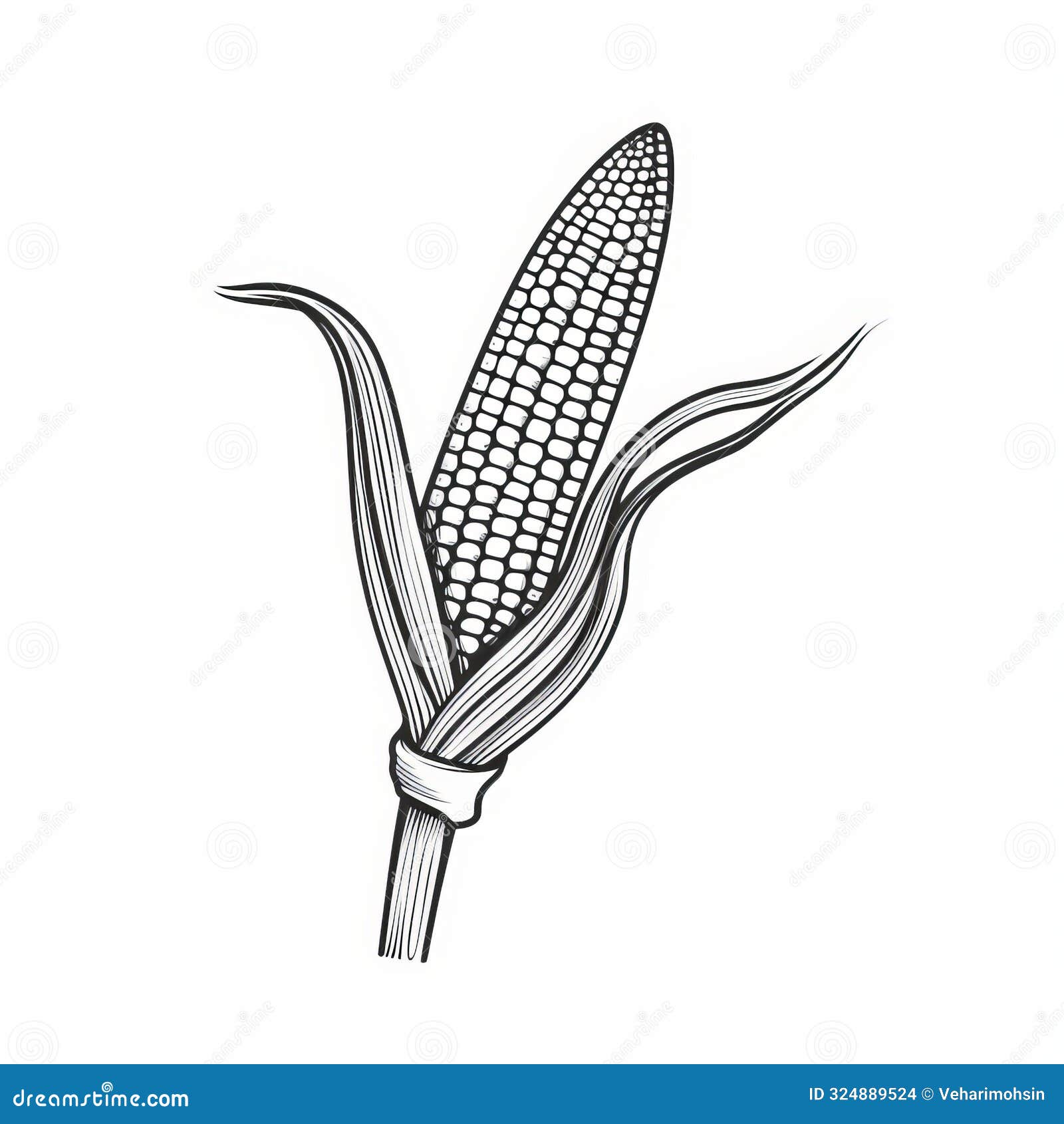 Vector Ear of Corn. Farm Vegetable Outline Icon, Drawing Monochrome ...
