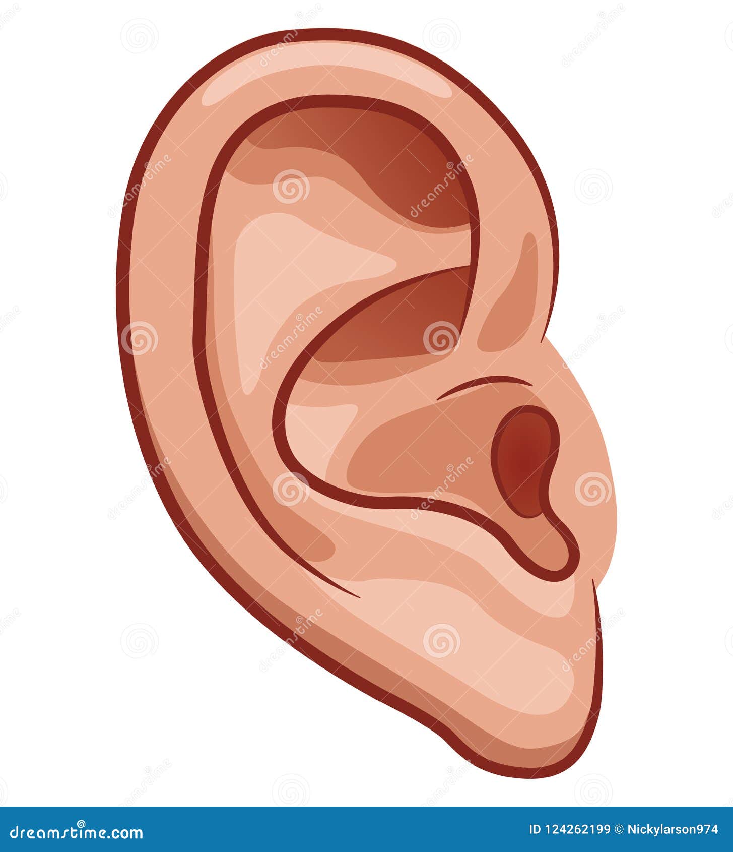 Vector Ear on White Background Stock Vector - Illustration of icon ...