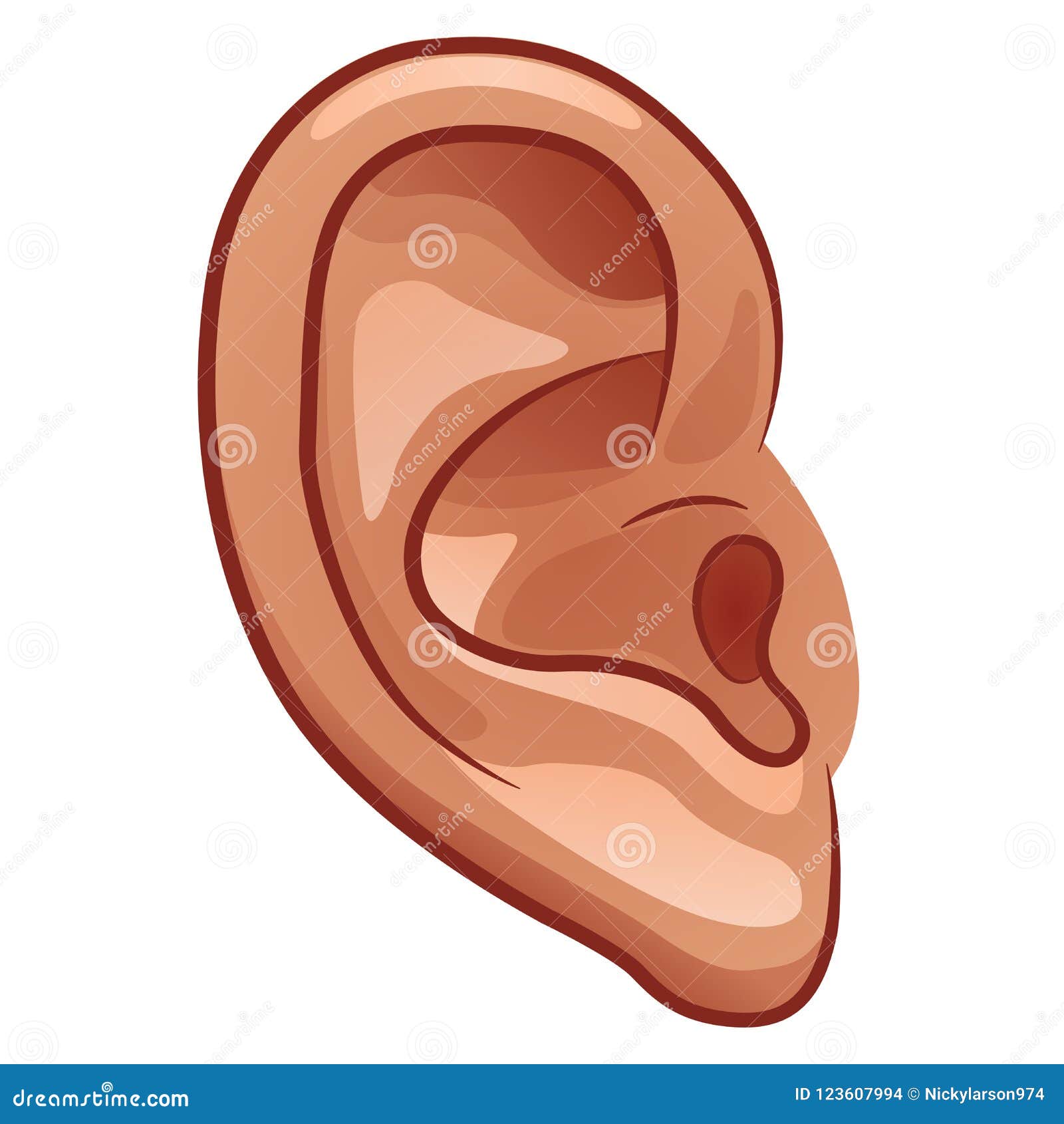 Vector Ear on White Background Stock Vector - Illustration of isolated ...