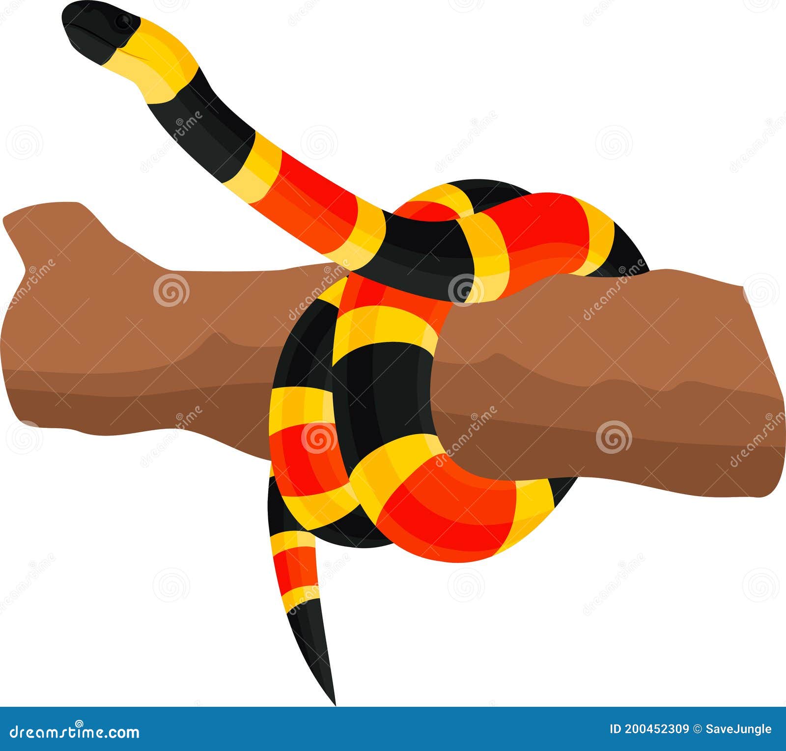 Coral Snake, Poisonous And Danger Mammal Vector | CartoonDealer.com ...