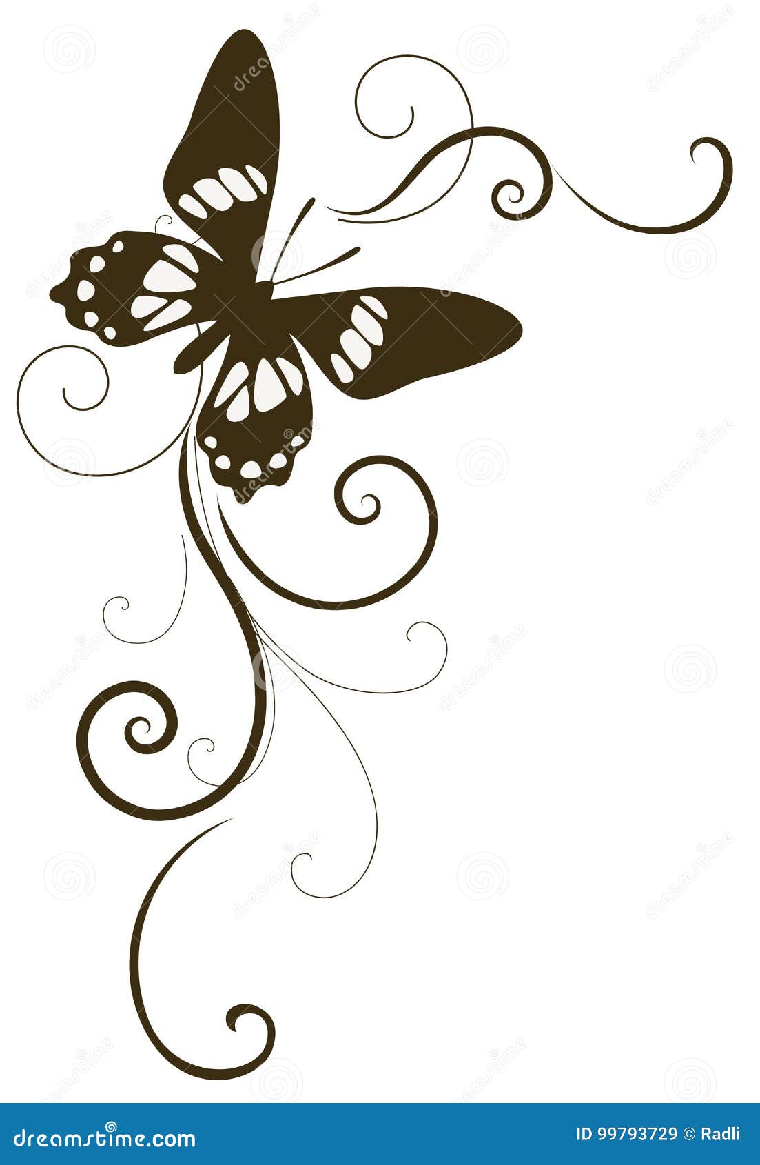 Corner Butterfly Border Designs