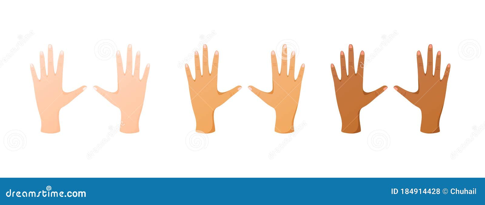 Set of Skin Tones on Human Hands. Stock Vector - Illustration of color ...