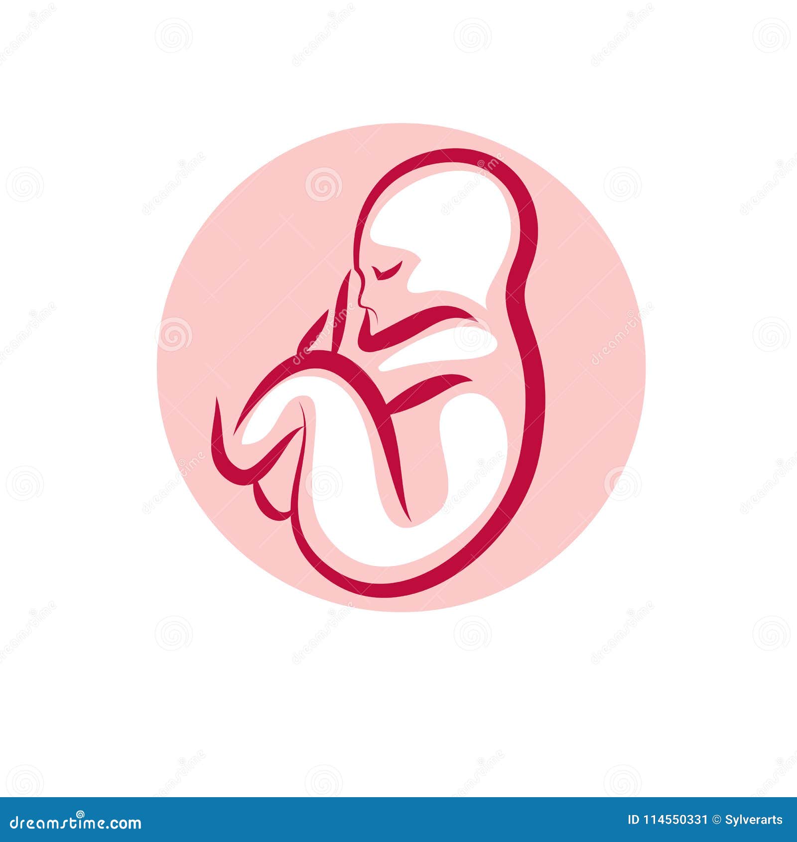 Vector Embryo Illustration Isolated on White. New Life Beginning Stock ...