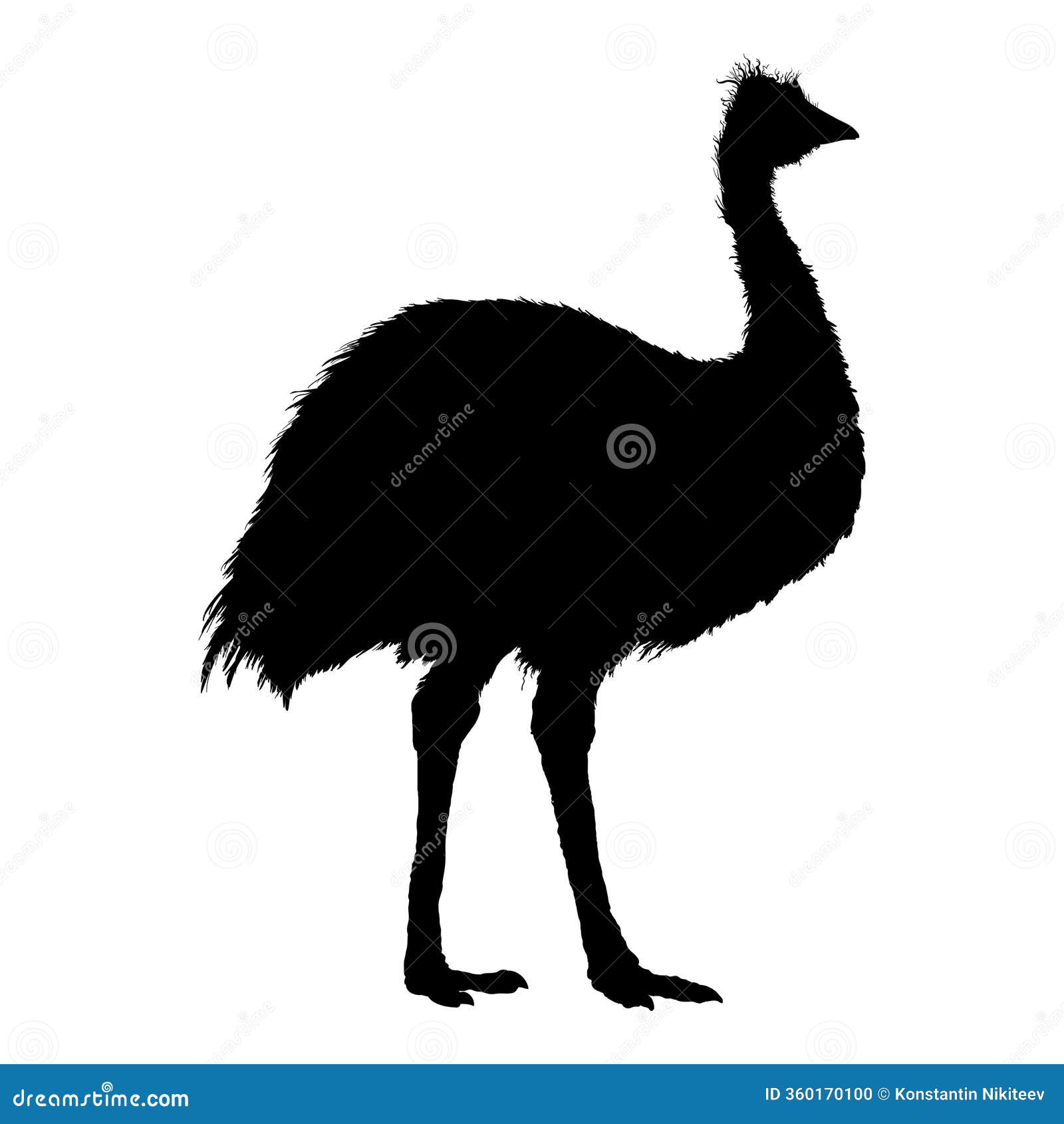 Vector Emu Silhouette. Full Body Illustration Stock Vector ...