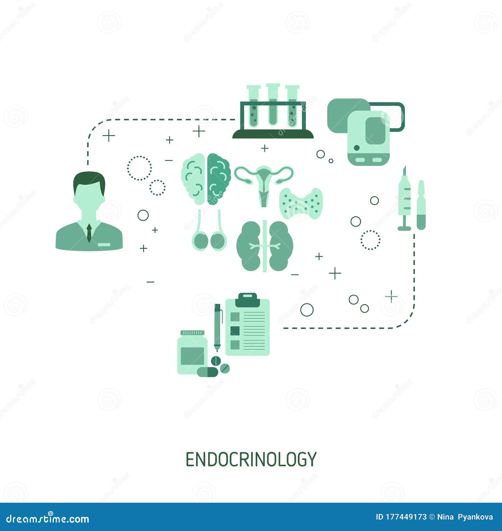 Vector Endocrinology Concept Stock Vector - Illustration of element ...