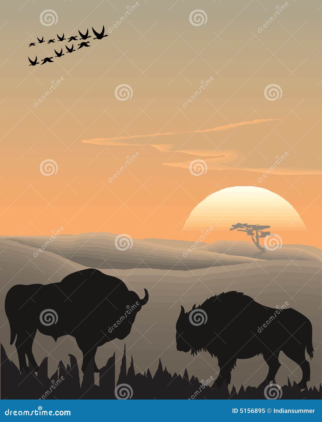 Vector Evening Landscape Illustration Stock Vector - Illustration of ...