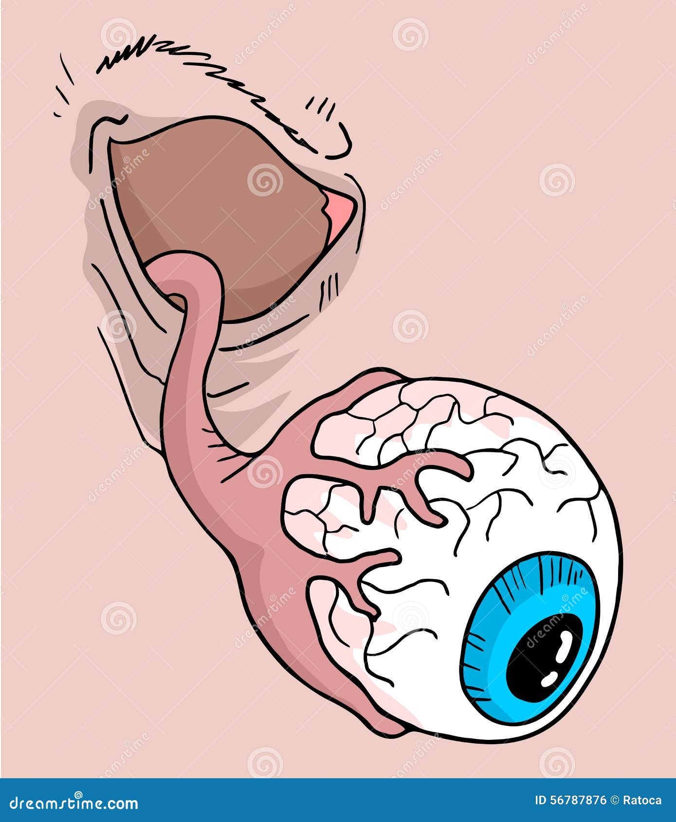 Vector eye stock vector. Illustration of cartoon, isolated - 56787876