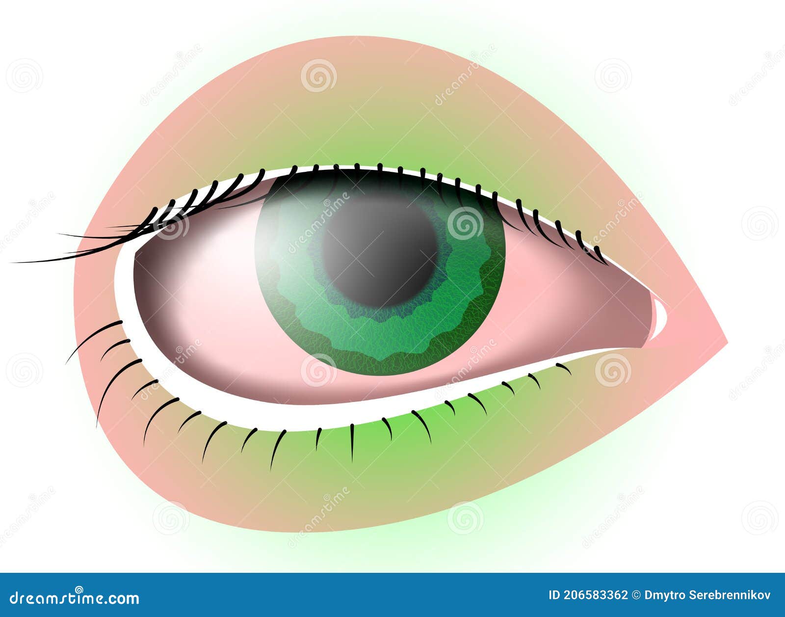 Vector Eye in Gradient Style Stock Illustration - Illustration of green ...
