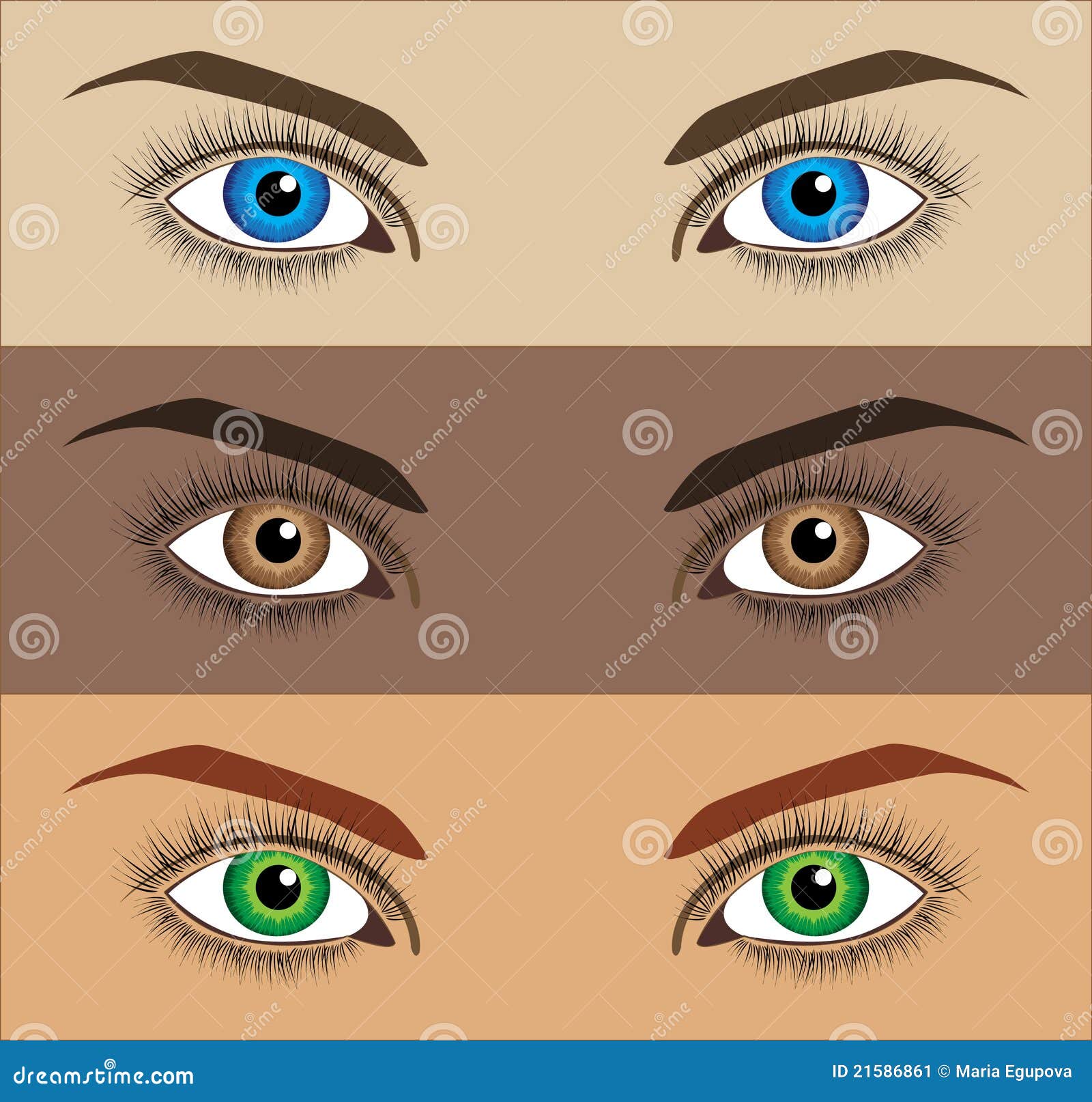 Vector eyes stock vector. Illustration of vector, woman - 21586861