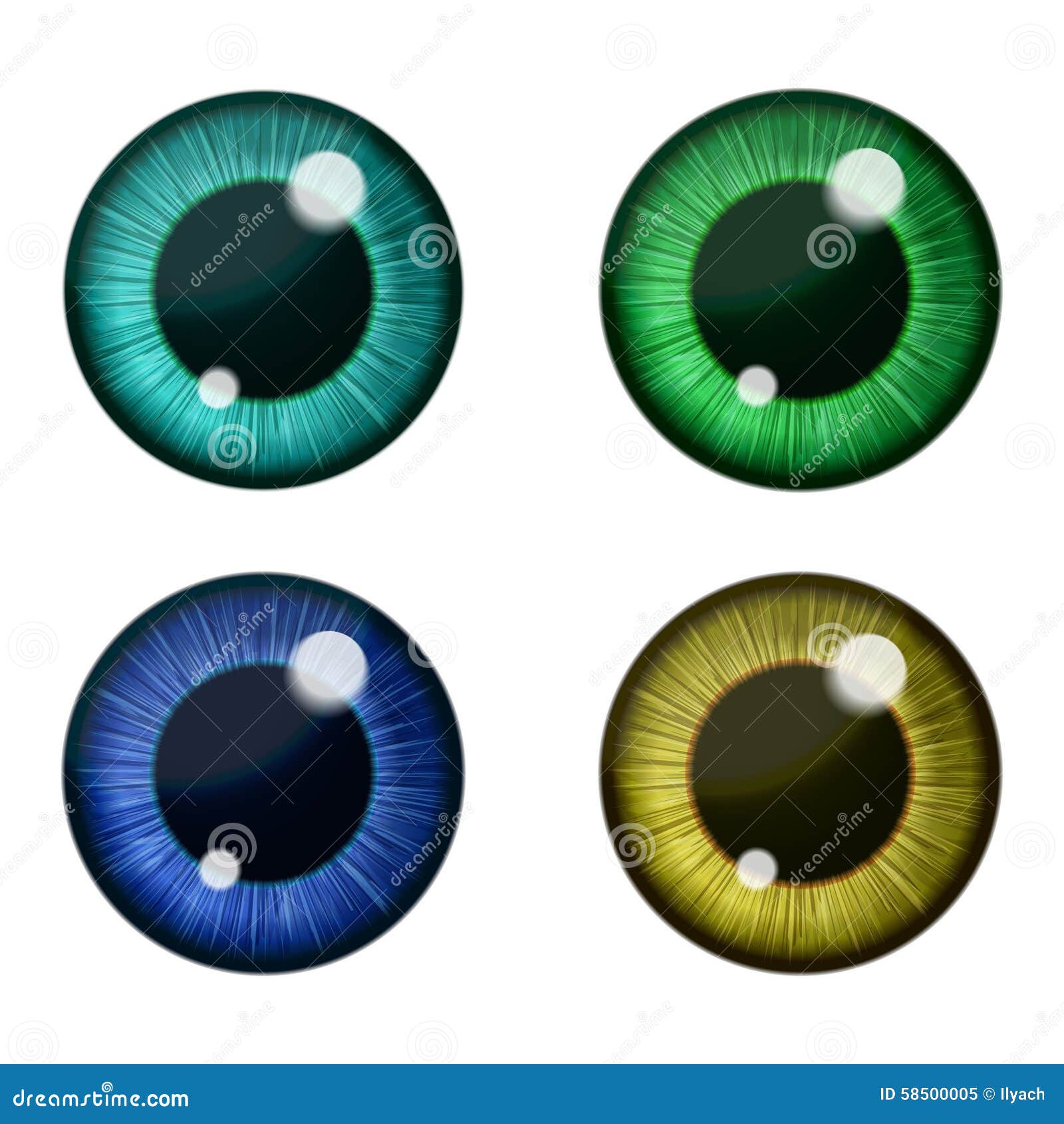 Human Pupil Eyeball Variations / Eye Color Types Illustration Cartoon ...