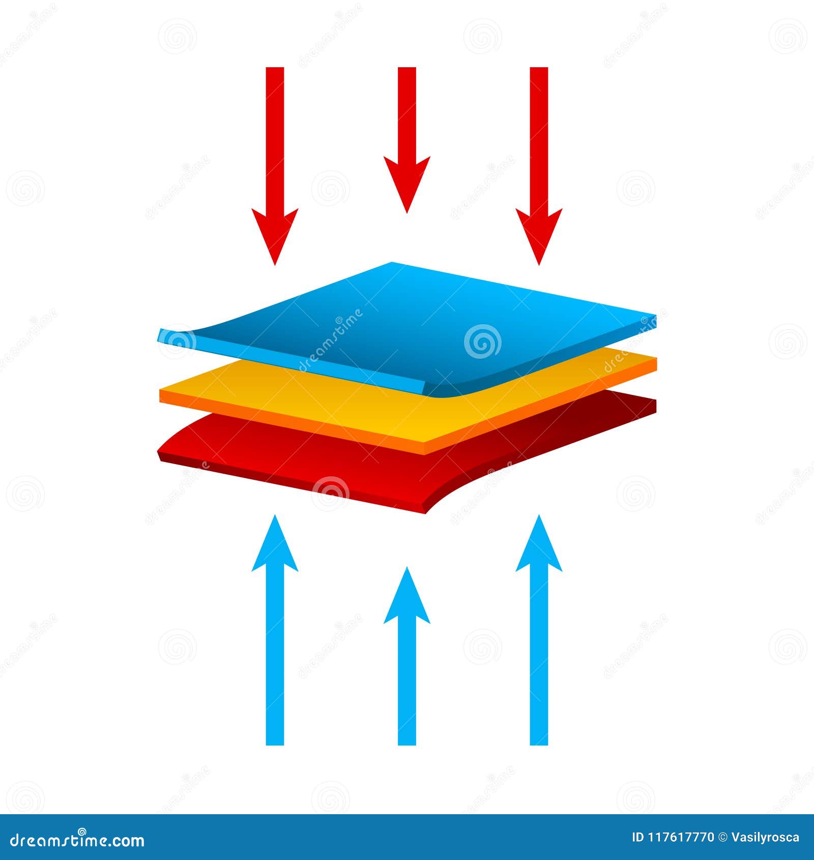 Multilayer Structure Organizing Branches Of Information Cells In A Data ...