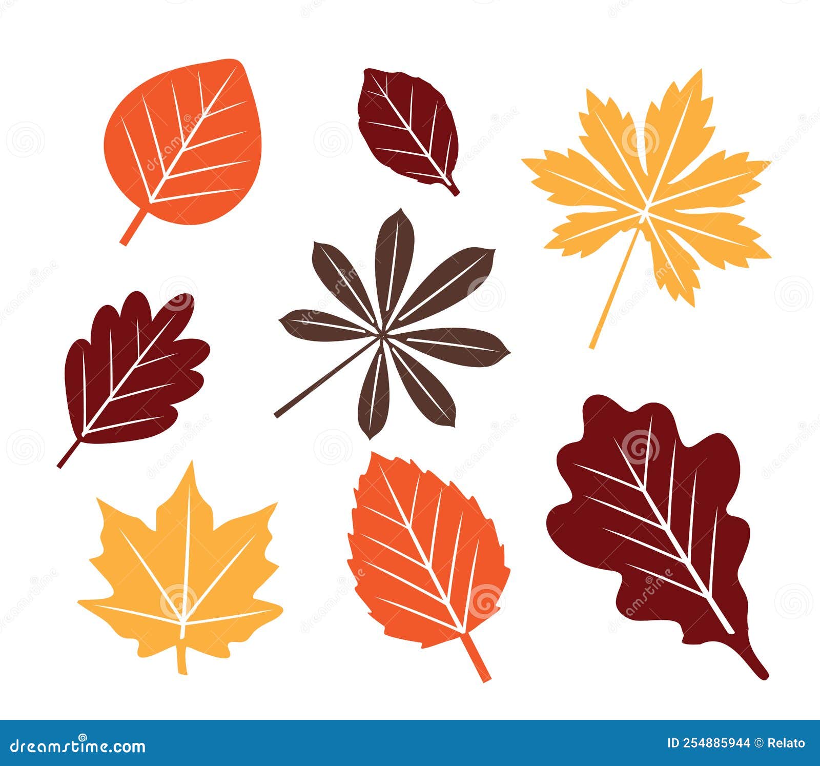 Vector Fall Leaves, Fall, Autumn Leaves. Fall Background. Stock Vector ...