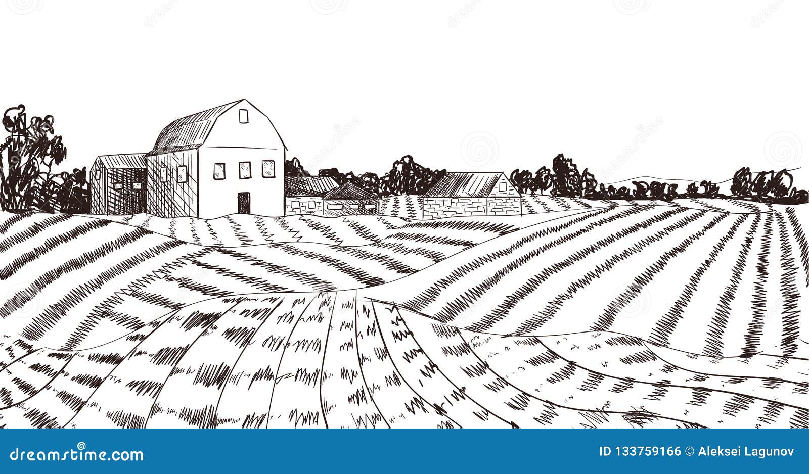 Vector Farm Field Sketch, Engraving Style, Background Template. Stock ...