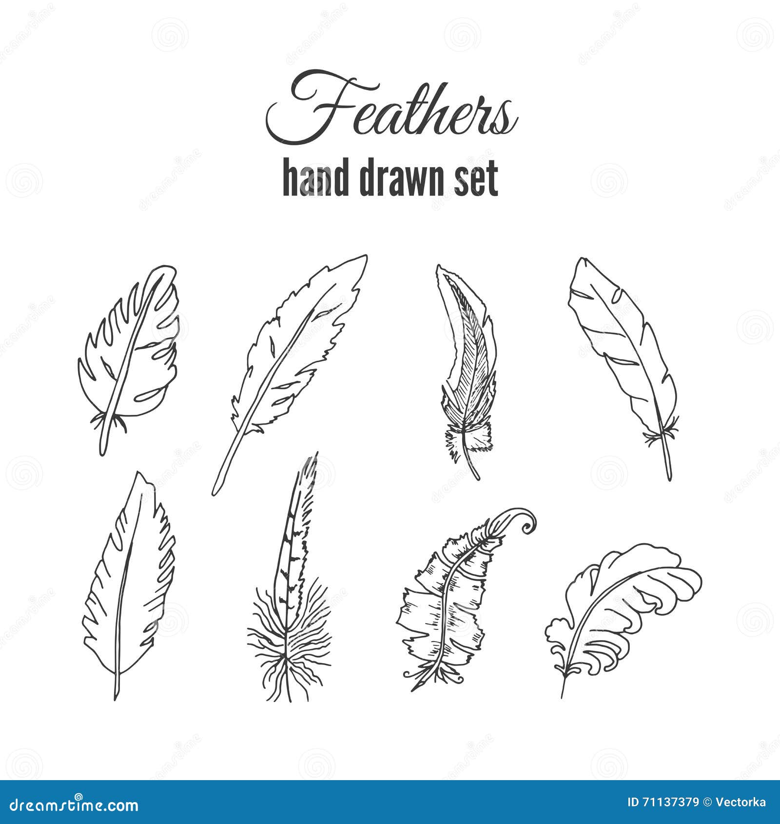 Vector Feathers Set. Hand Drawn Ethnic Elements. Sketchy Feather. Stock ...