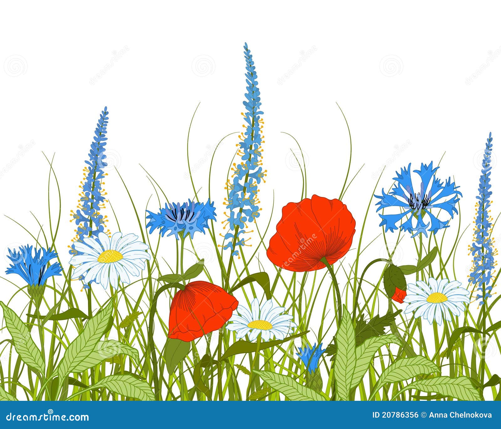 Vector field flowers. stock vector. Illustration of grass - 20786356