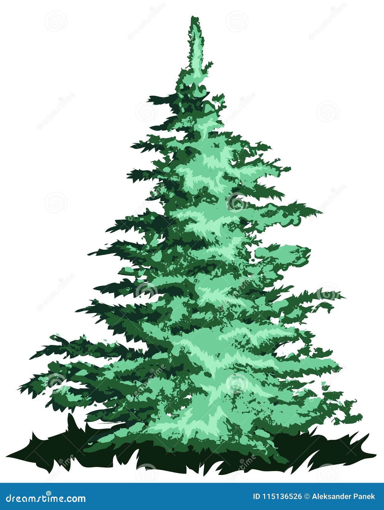 Big Pine tree stock illustration. Illustration of graphic - 115136526