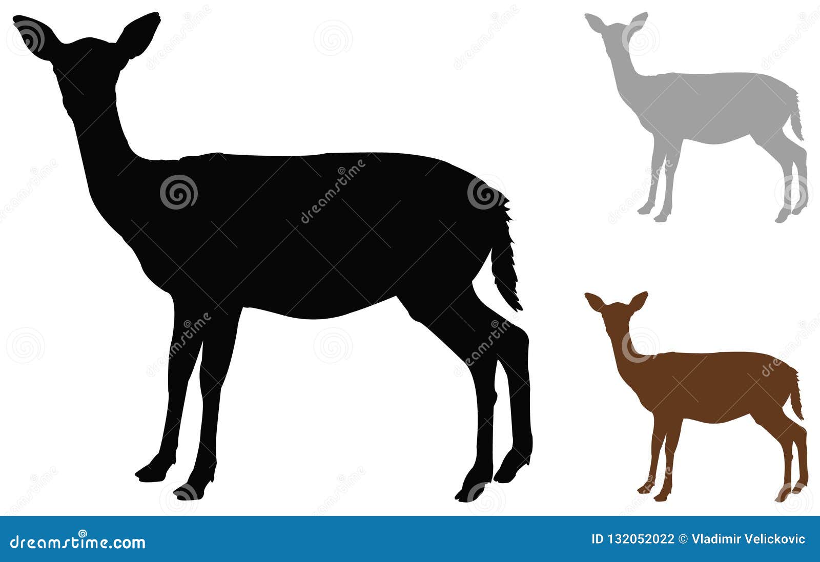 Doe Or Deer Silhouette - Hoofed Ruminant Mammal Vector Illustration ...