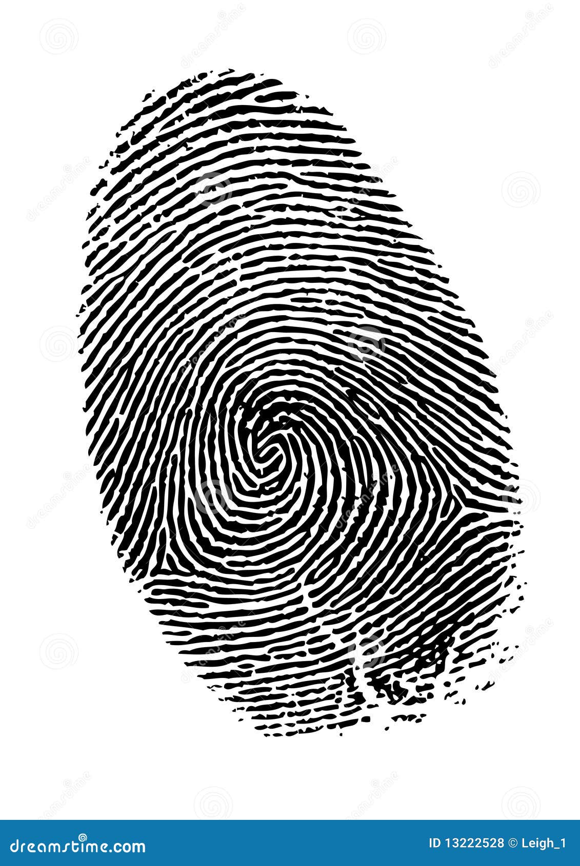 Vector fingerprint stock vector. Illustration of crime - 13222528