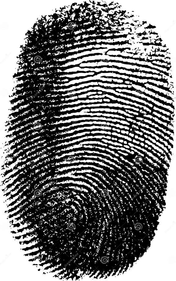 Vector fingerprint stock vector. Illustration of fingerprinted - 3672738