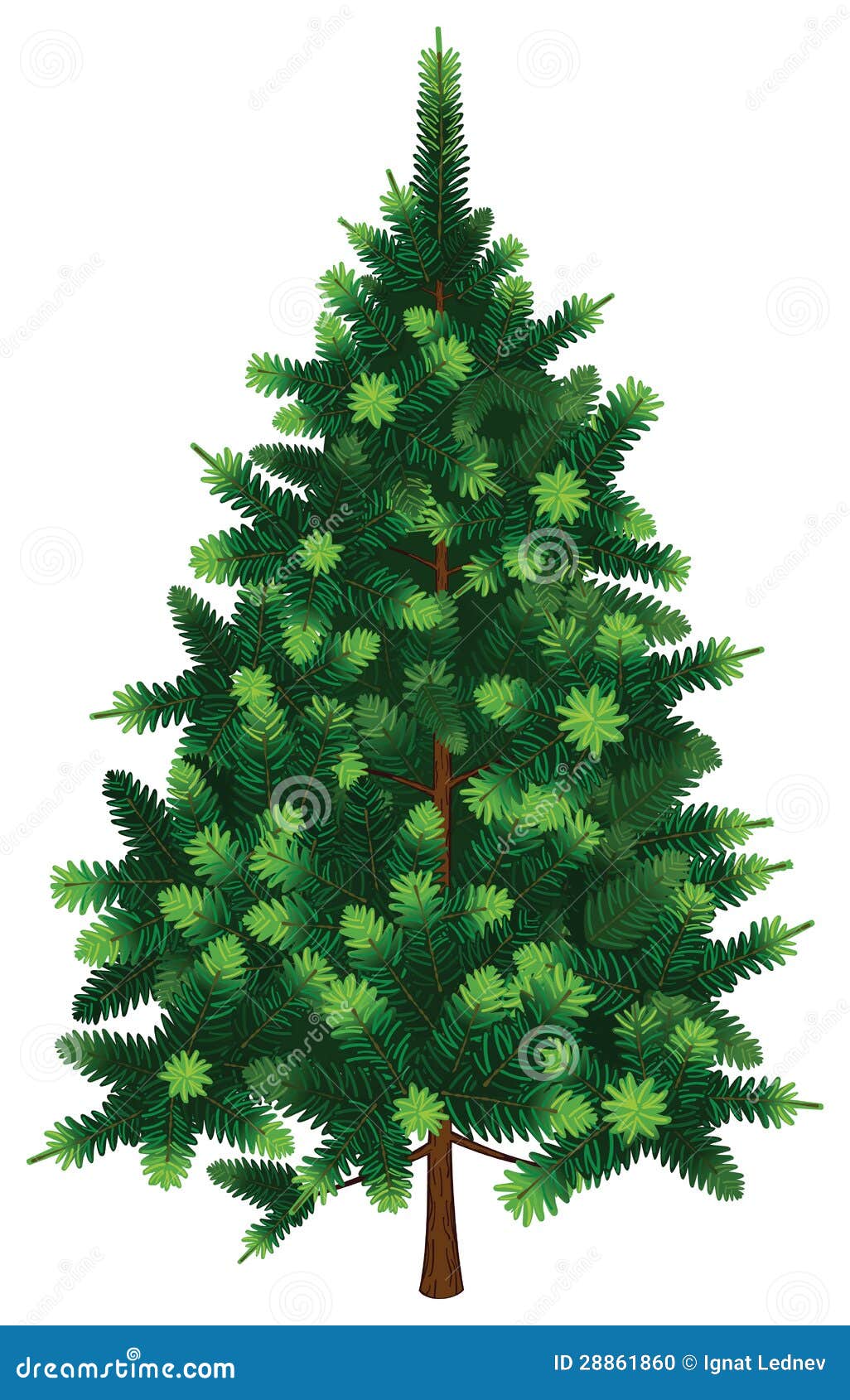 Vector Fir Tree stock vector. Illustration of branch - 28861860
