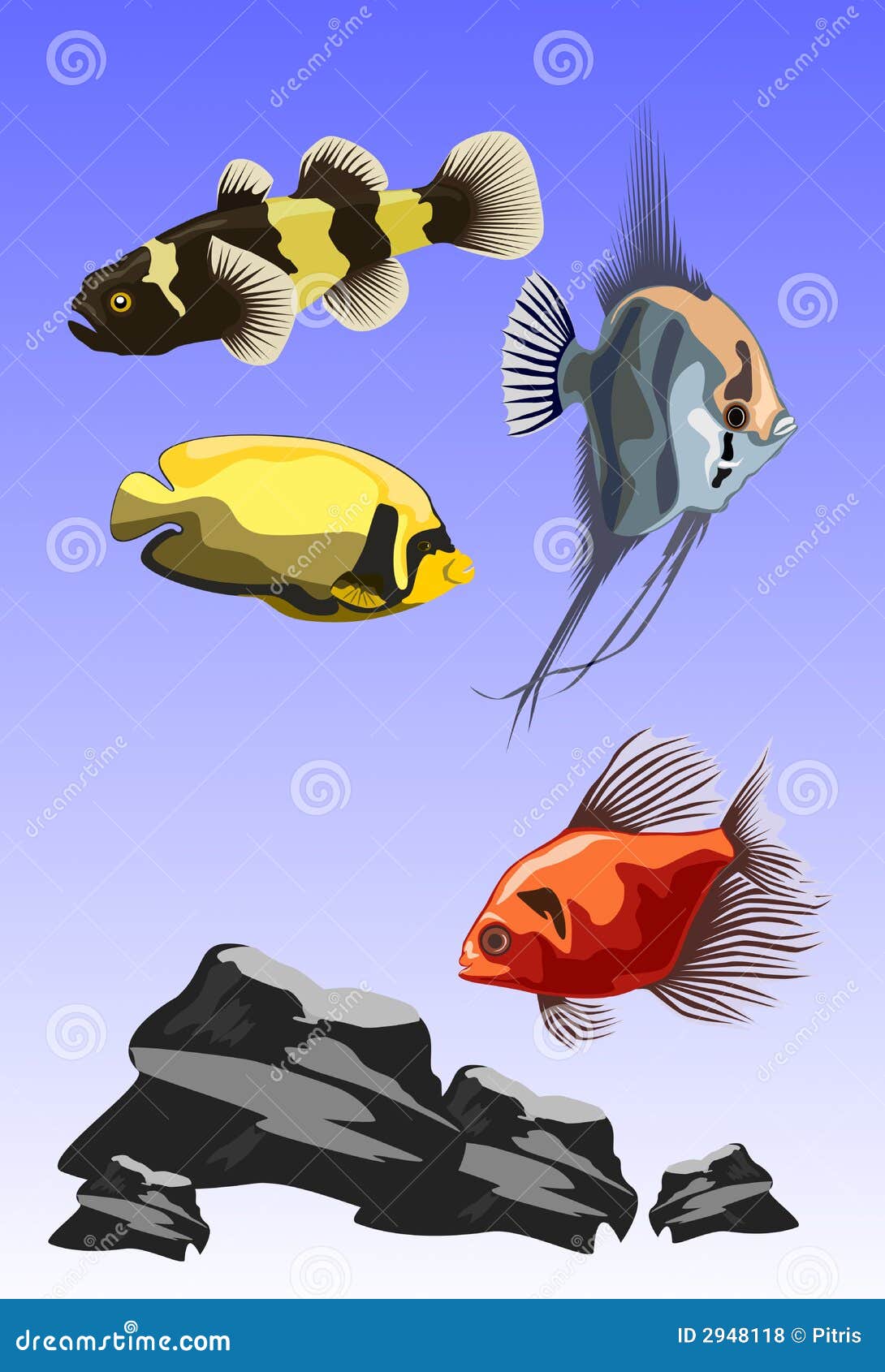 Vector fish stock vector. Illustration of artwork, species - 2948118