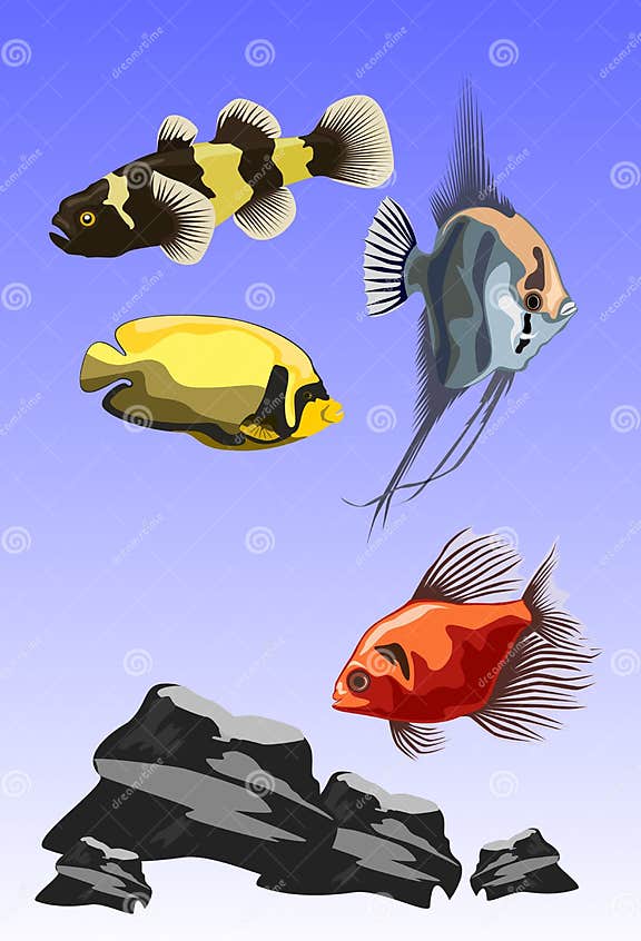 Vector fish stock vector. Illustration of artwork, species - 2948118