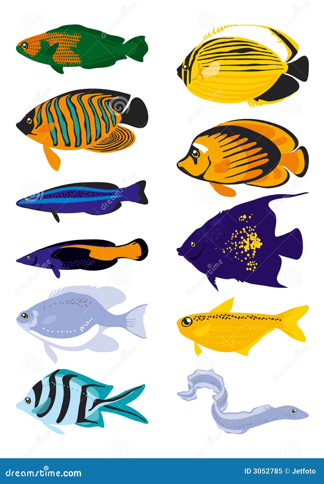 Vector fish stock vector. Illustration of beautiful, drawing - 3052785