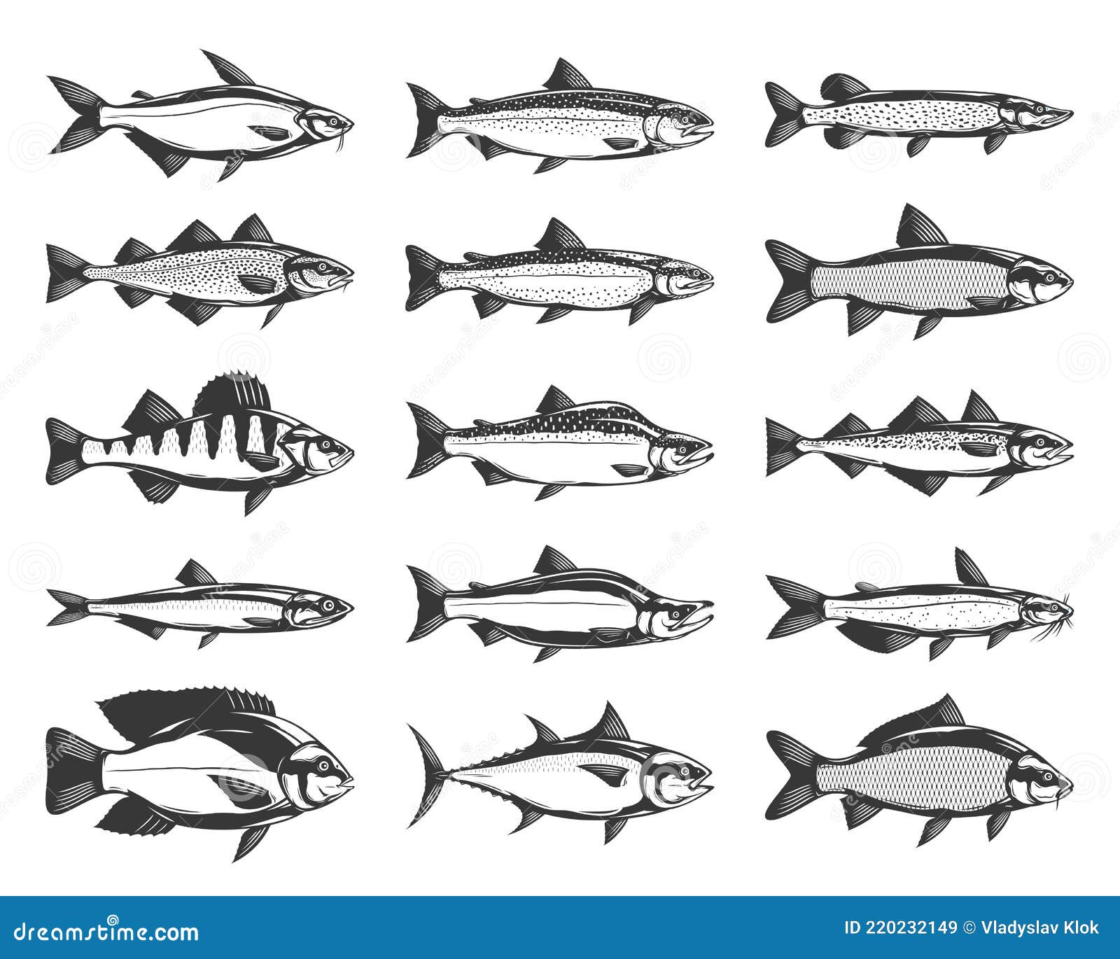 Vector fish illustrations stock vector. Illustration of saltwater ...