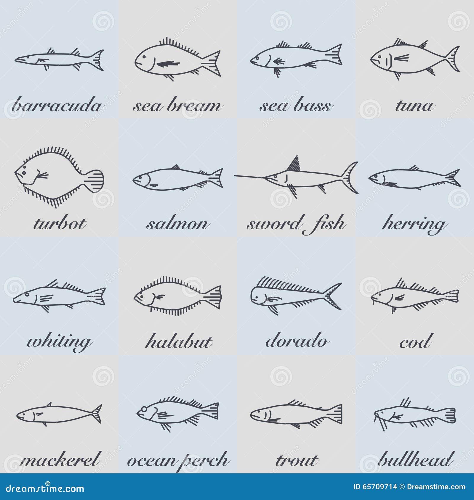 Vector Fish Line Illustration Set Stock Vector - Illustration of ...