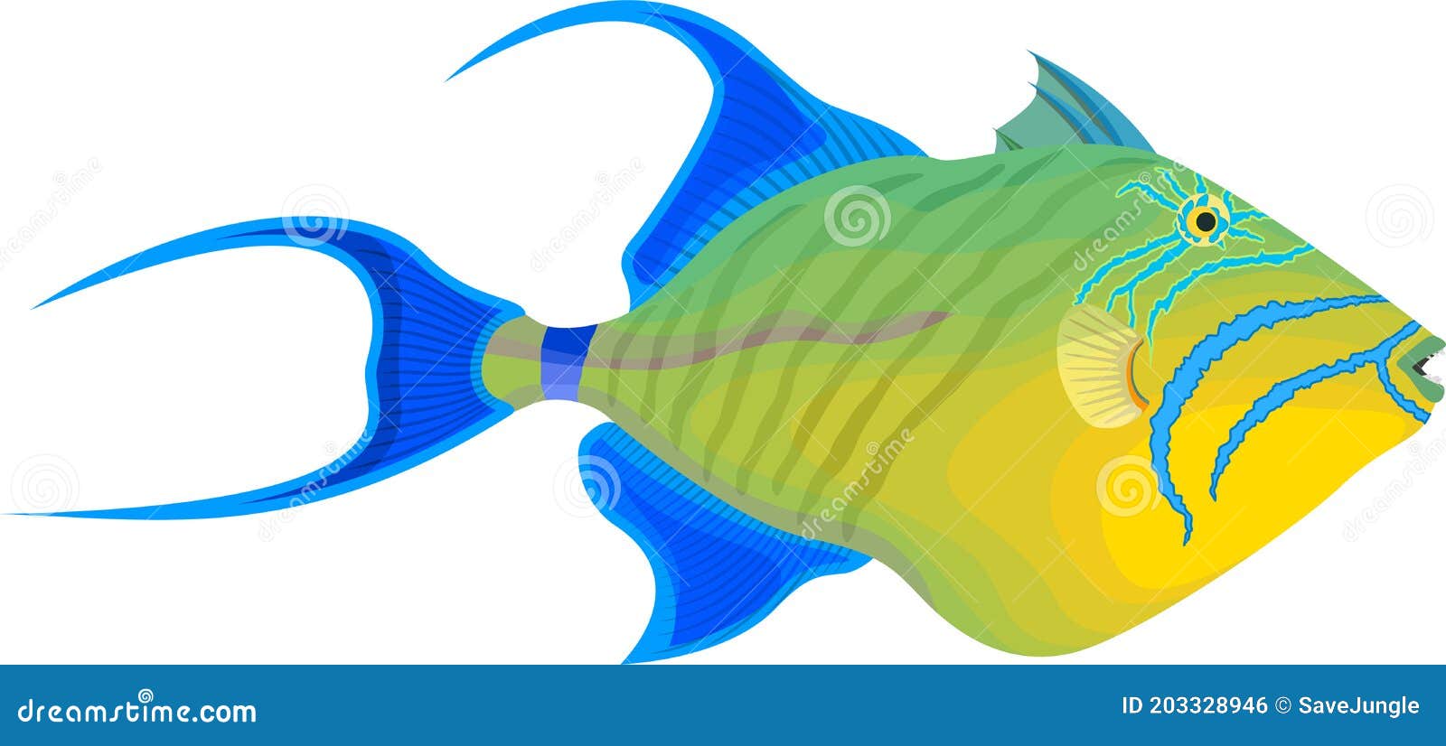 Queen Triggerfish Illustration | CartoonDealer.com #134052734