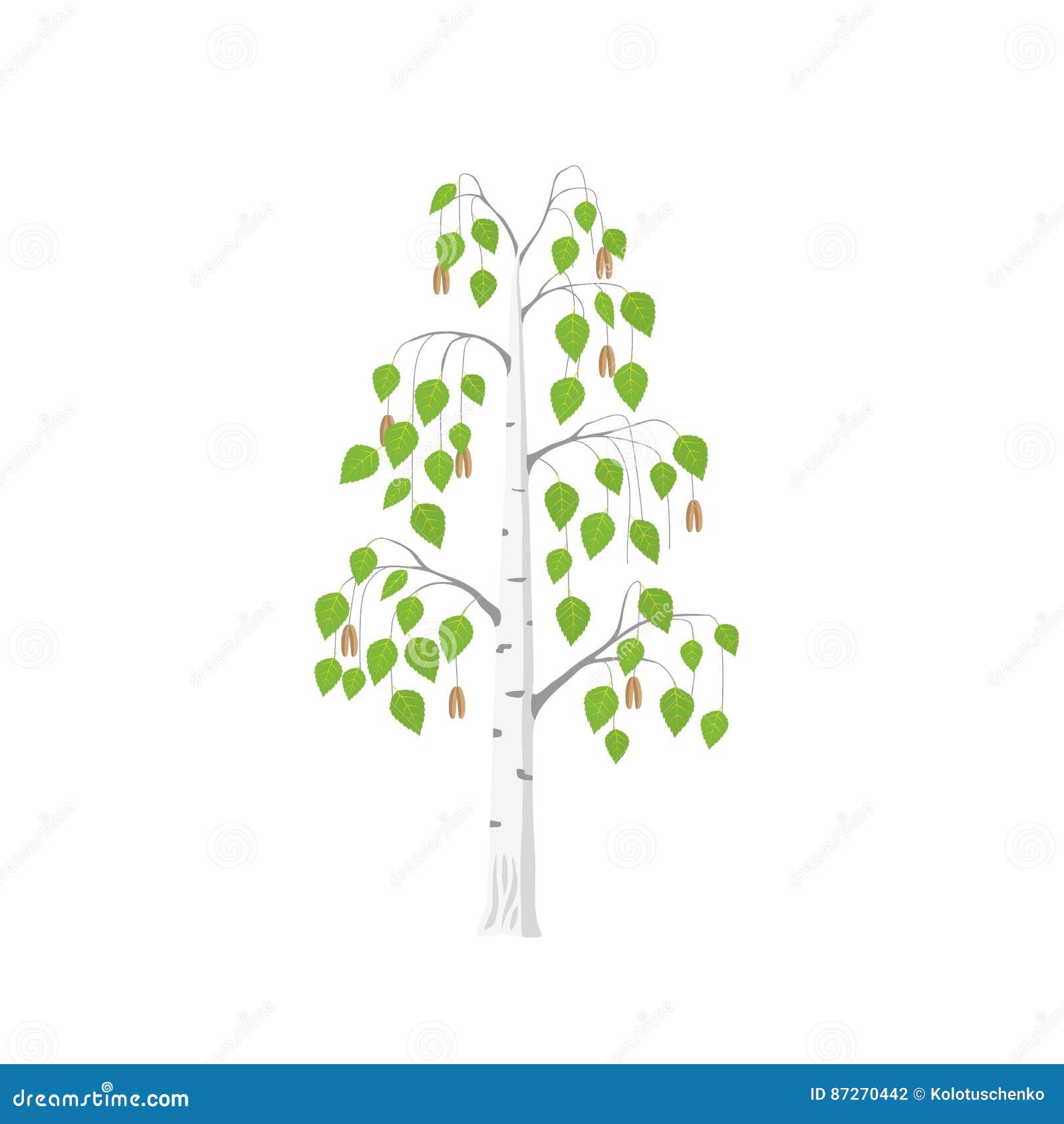 Tree Birch Clip Art Cartoon Vector | CartoonDealer.com #88853947
