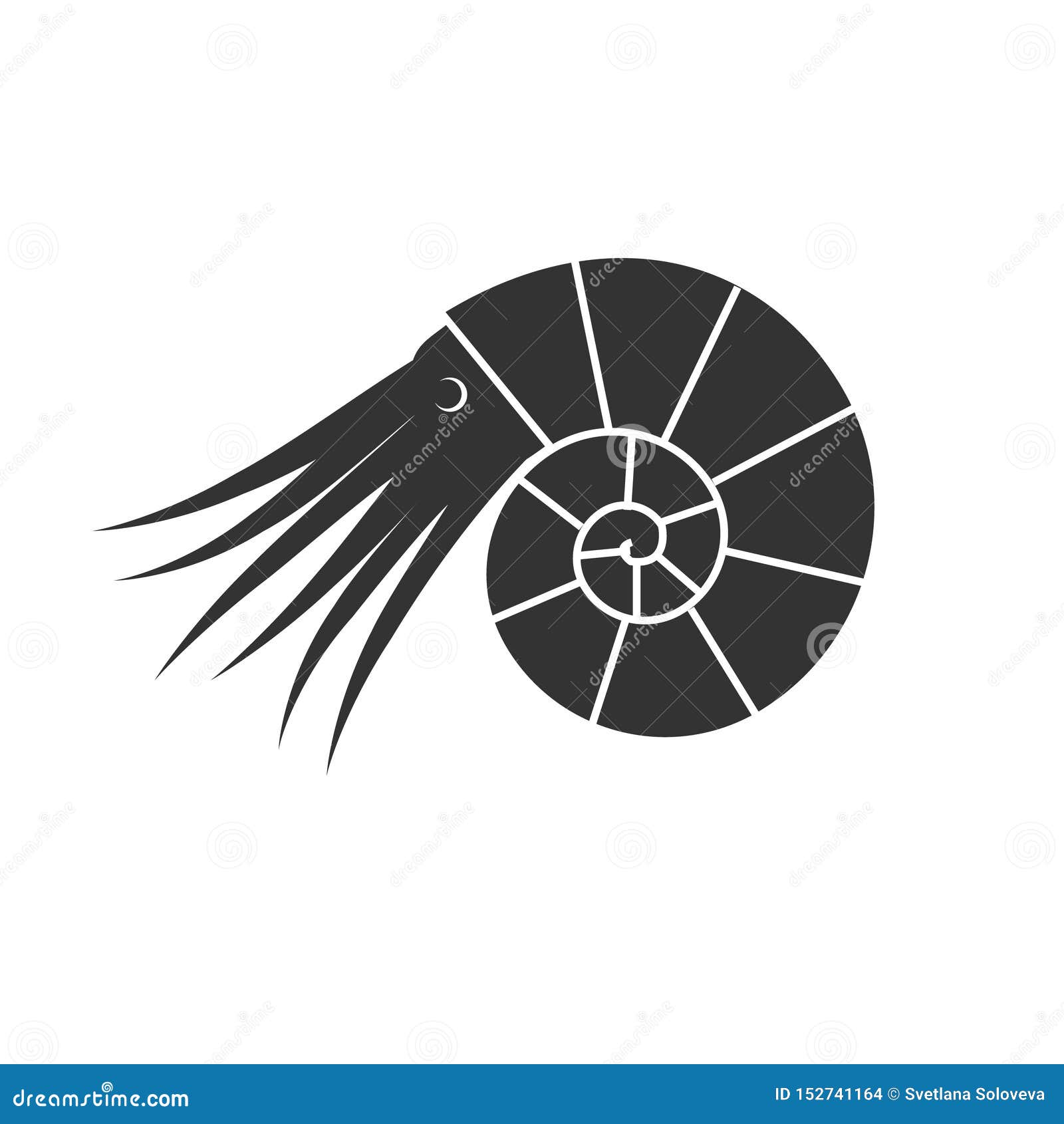 Vector Flat Black Ammonite with Tentacles Stock Vector - Illustration ...