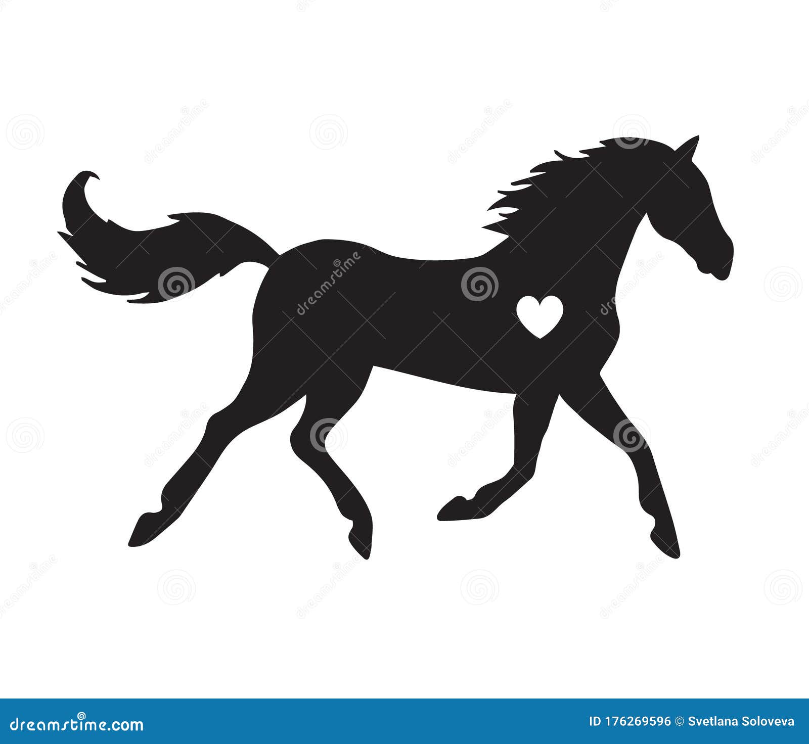 Horse Heart With Circulatory System - Horse Equus Anatomy On Black ...