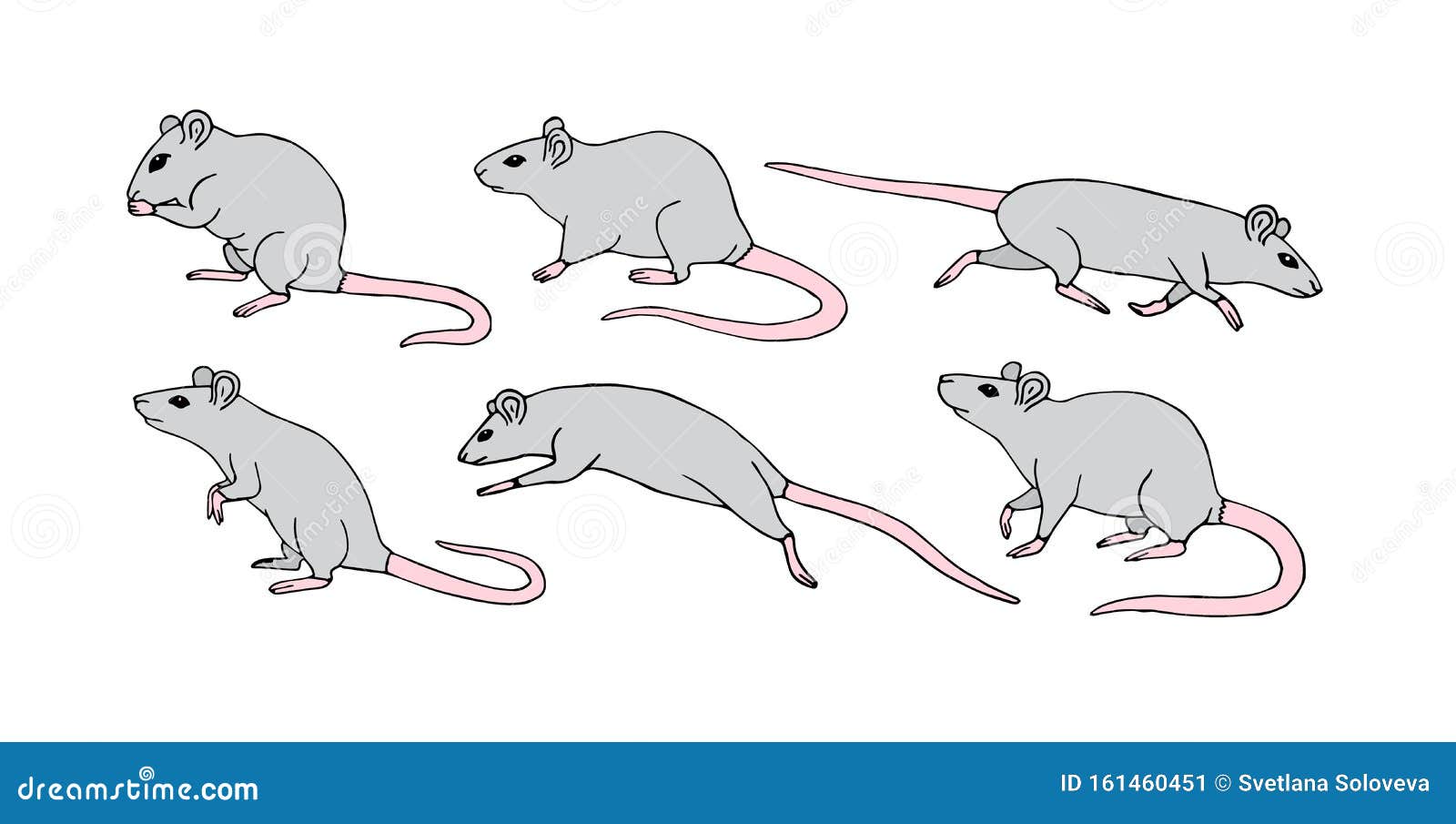 Vector Flat Black Set of Hand Drawn Gray Rat Stock Illustration ...