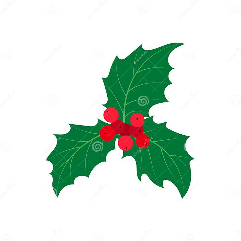 Vector Flat Cartoon Holly Tree Leaves Set. Stock Vector - Illustration ... Vector Flat Cartoon Holly Tree Leaves Set. Stock Vector - Illustration ...