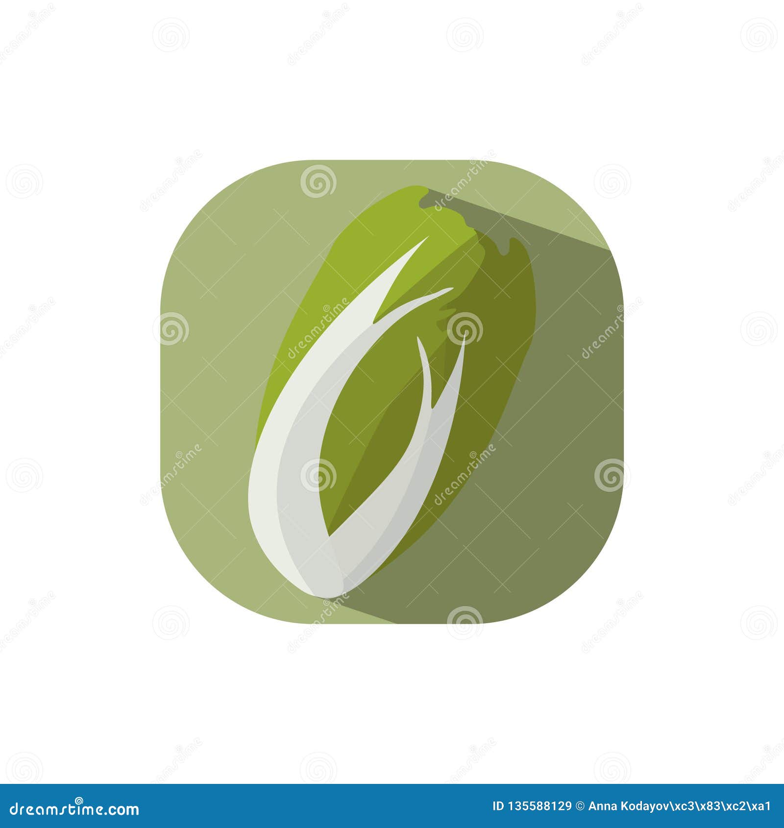 Flat Design Chinese Cabbage Stock Illustration - Illustration of food ...
