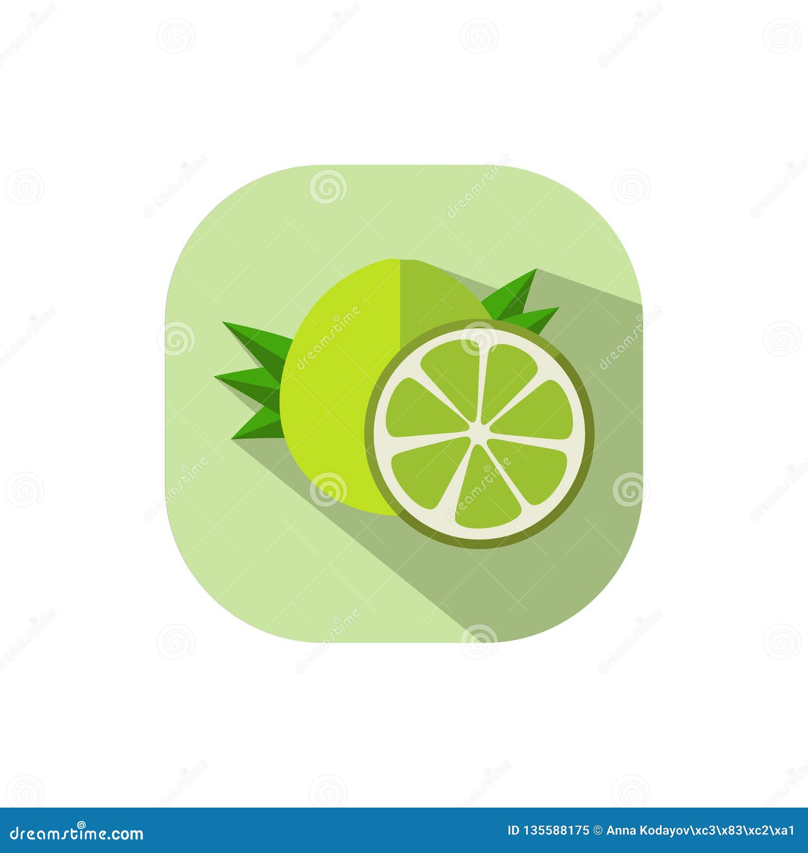 Flat design Pomelo stock illustration. Illustration of botanical ...