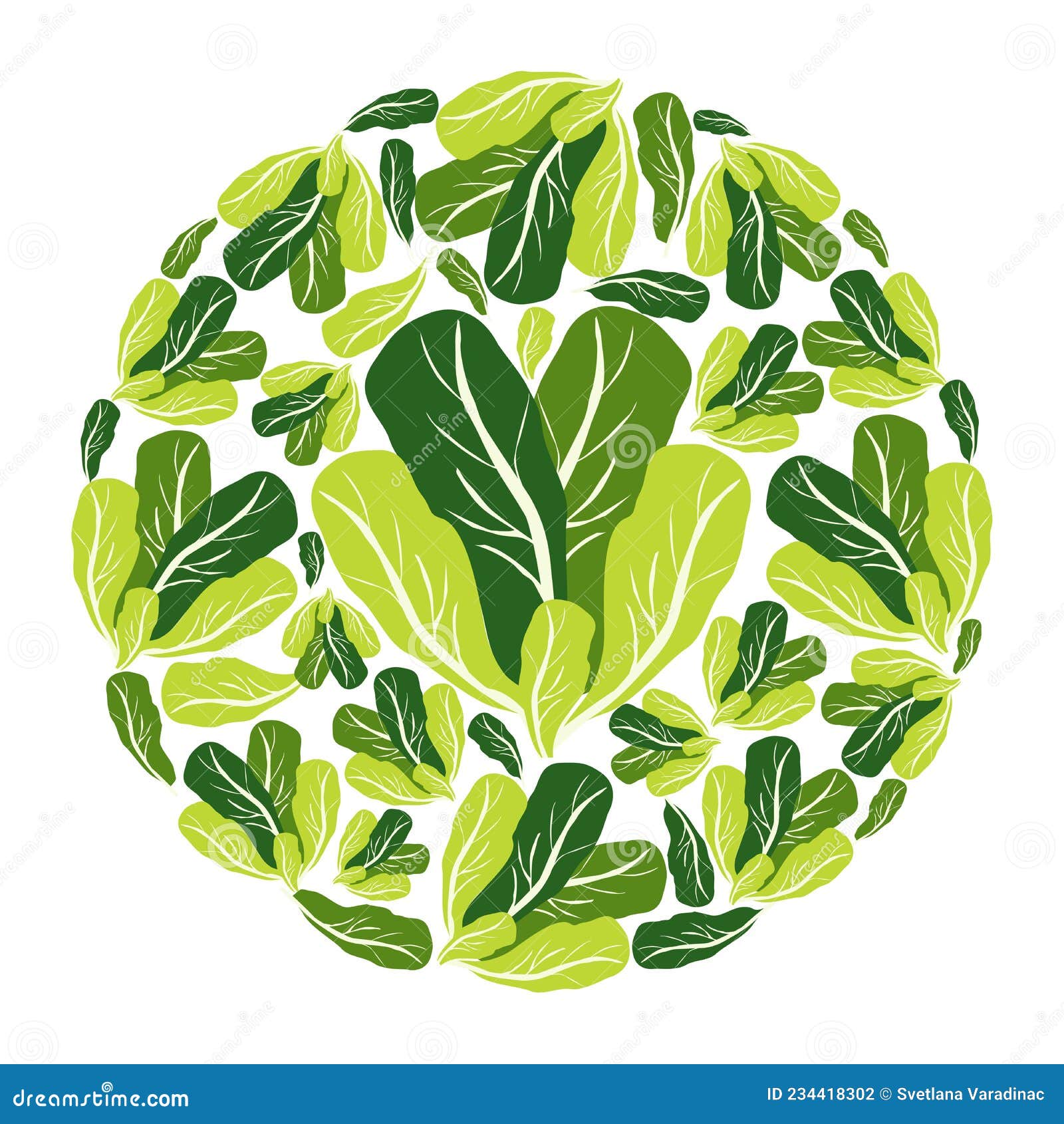 Lettuce in a circle. stock vector. Illustration of element - 234418302