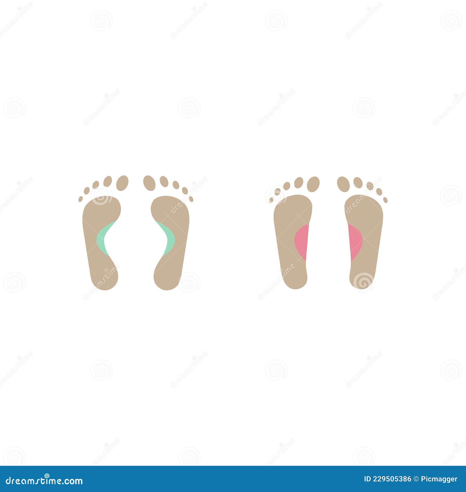 Vector flat feet. stock vector. Illustration of vector - 229505386