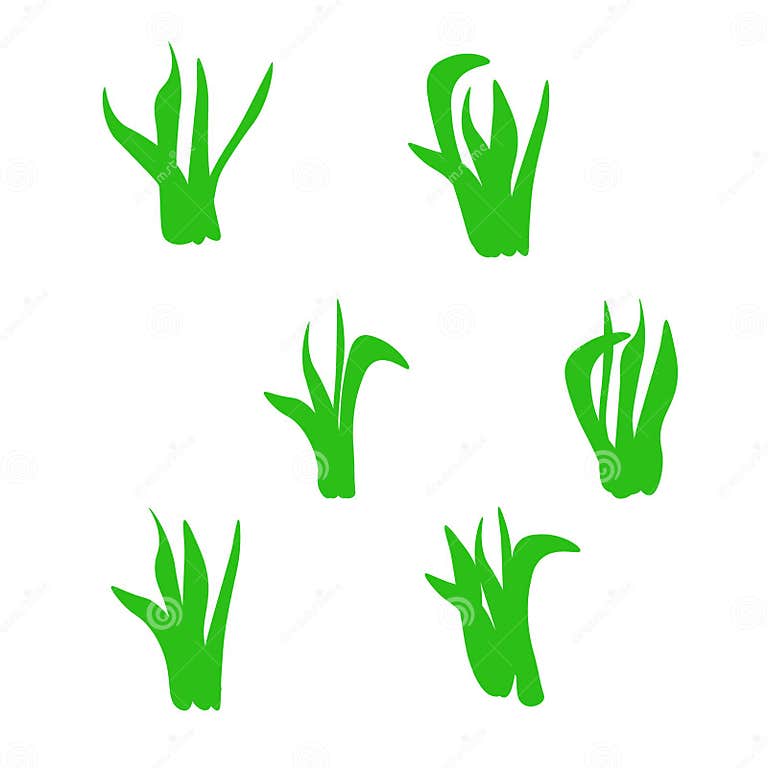 Vector Flat Grass Set Isolated on White Background. Stock Illustration ...
